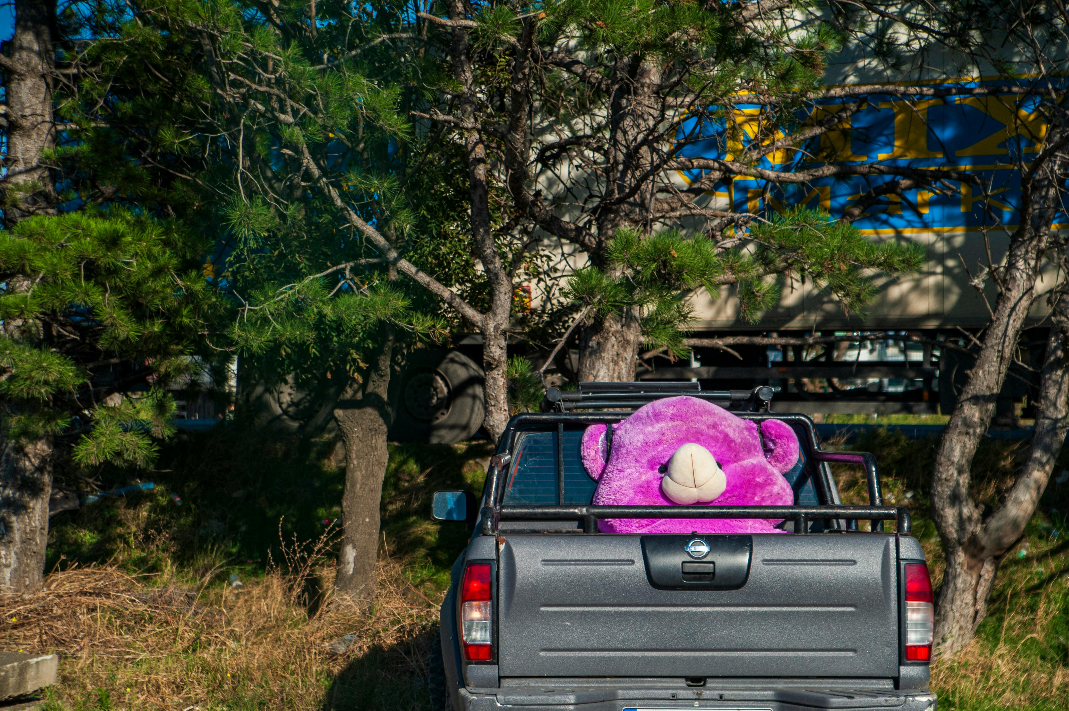 Xbox Pfp Funny Photos, Download The BEST Free Xbox Pfp Funny Stock ...