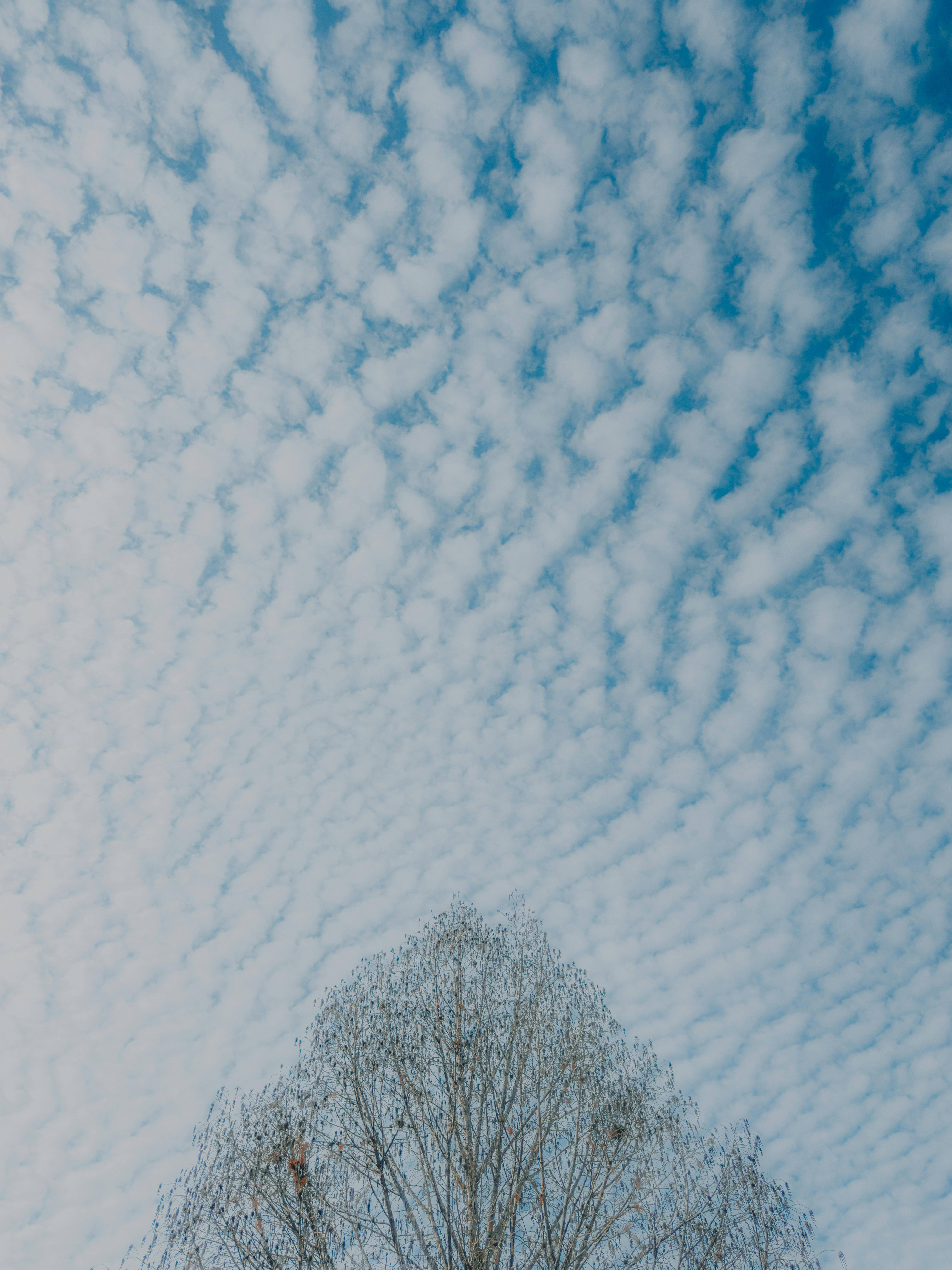 W.T+Stock Photos, Download The BEST Free W.T+Stock Stock Photos & HD Images