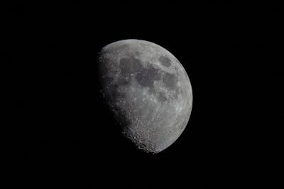 Moon Pfp Photos, Download The BEST Free Moon Pfp Stock Photos & HD Images