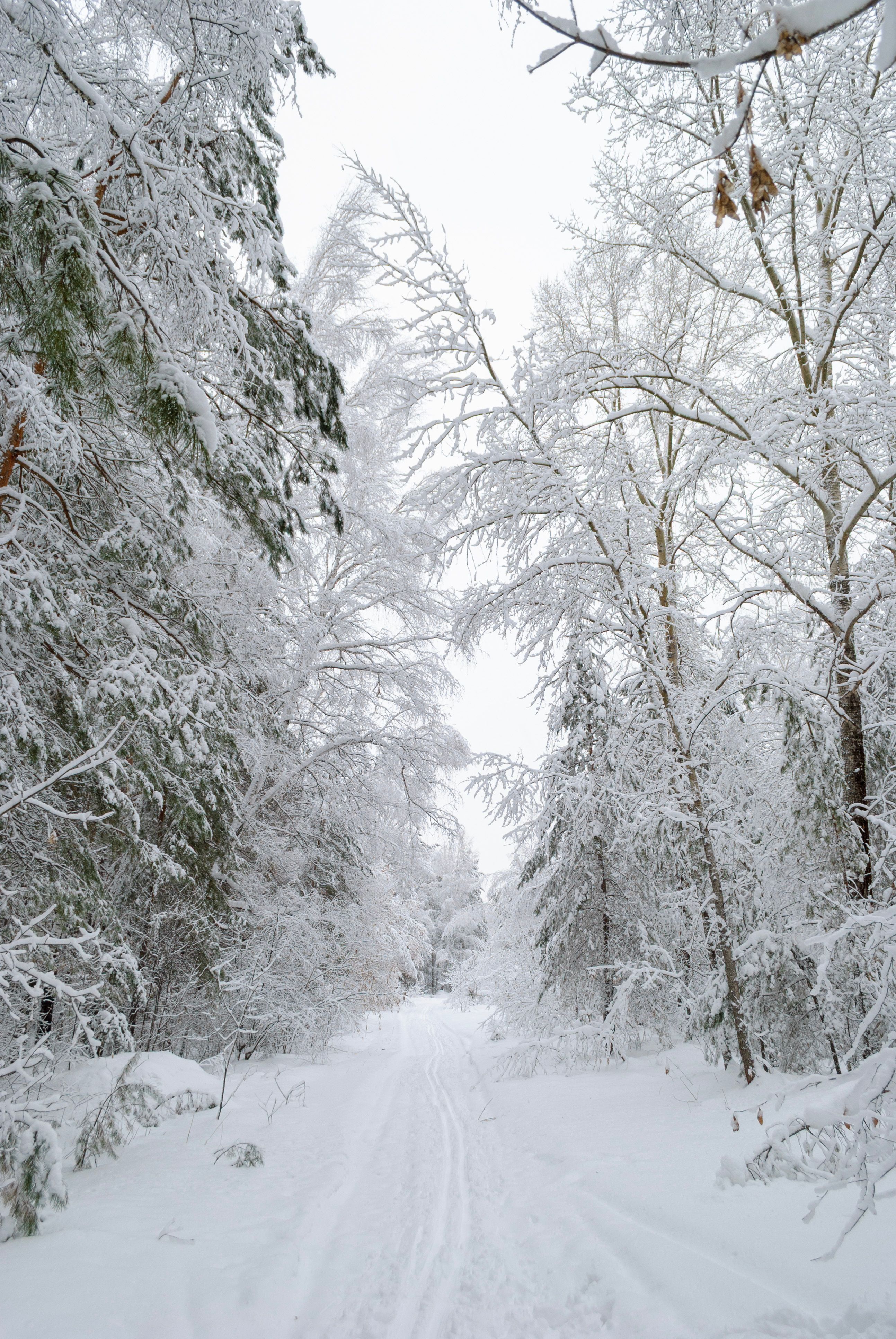 Beautiful Winter Photos, Download The BEST Free Beautiful Winter Stock ...
