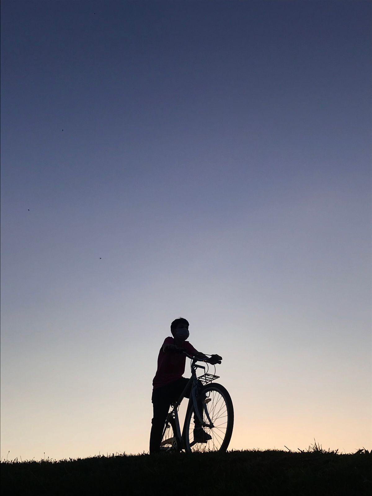 Free+Screensavers+Without+Downloading Photos, Download The BEST Free ...