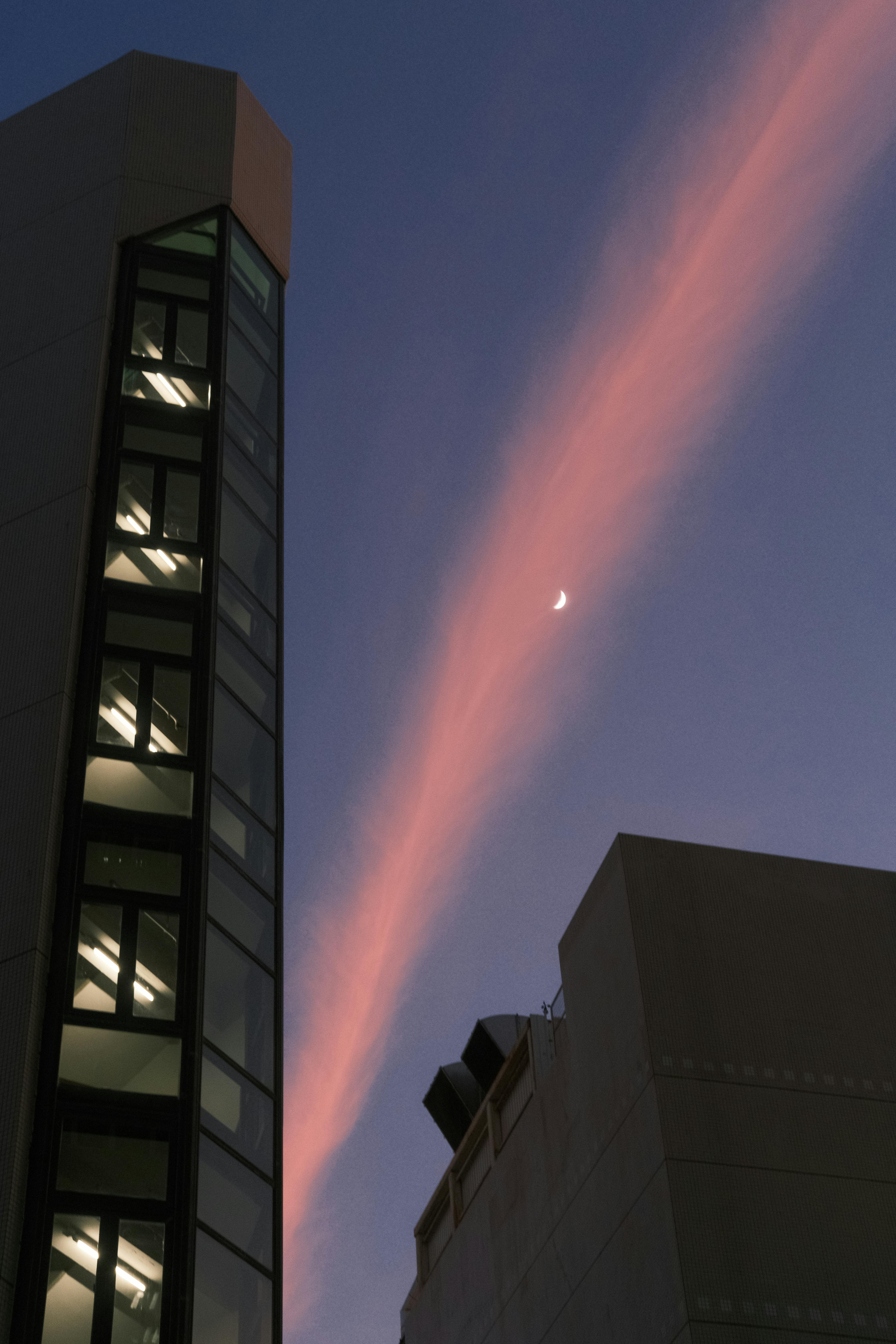 Moon Pfp Photos, Download The BEST Free Moon Pfp Stock Photos & HD Images