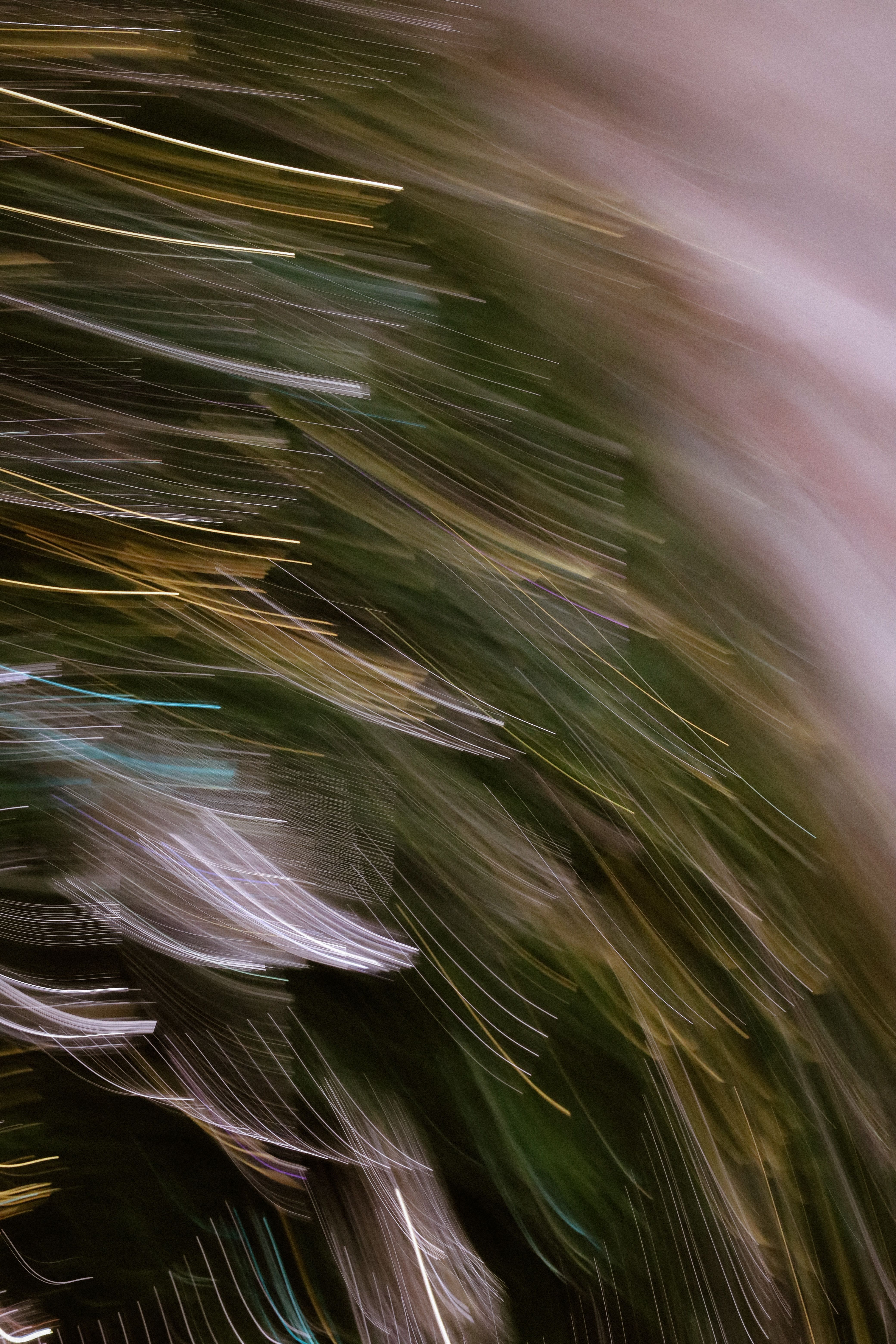 Green Abstract Photos, Download The BEST Free Green Abstract Stock ...