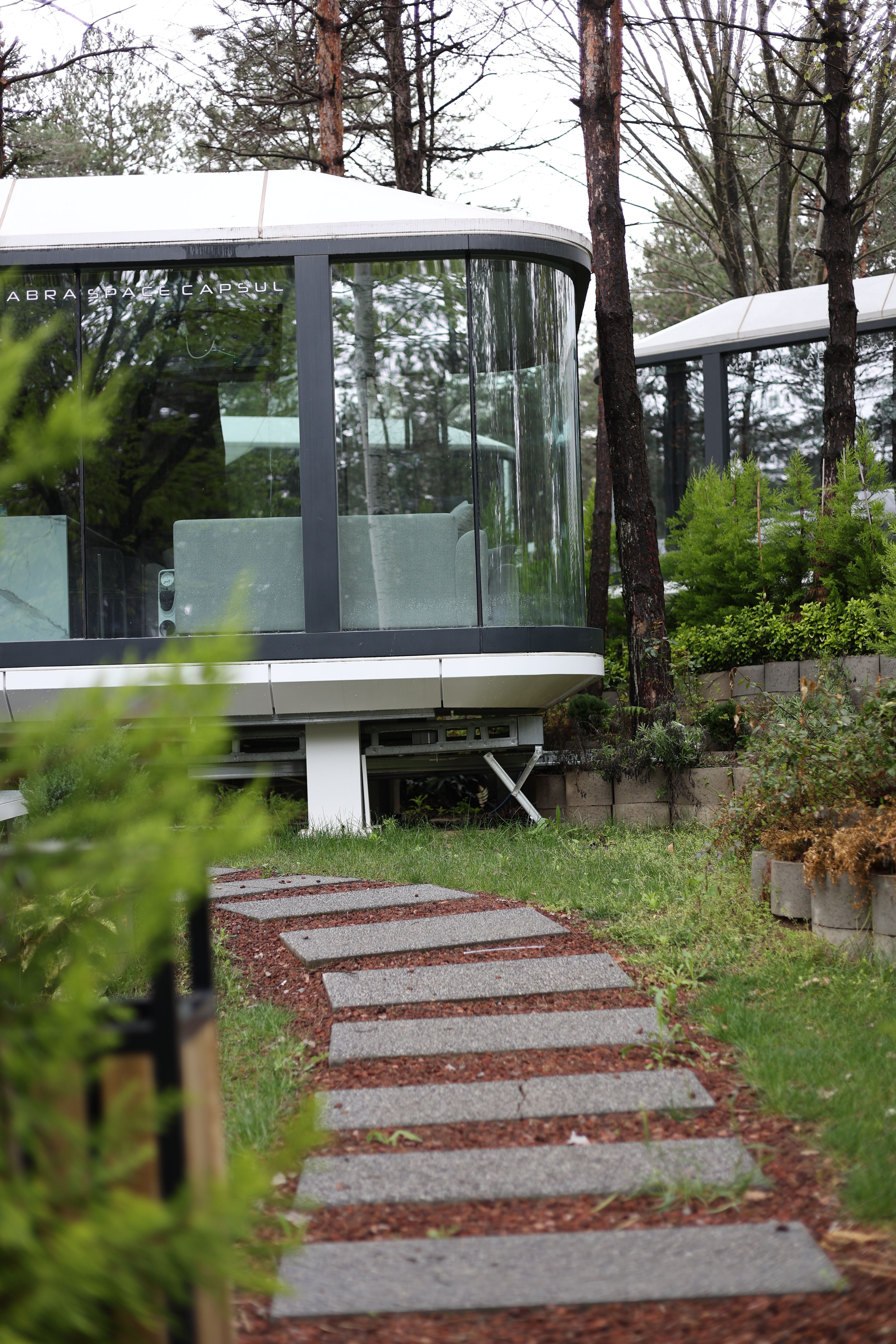 Modern Outdoor Glass Pavilion in Quiet Forest Setting · Free Stock Photo