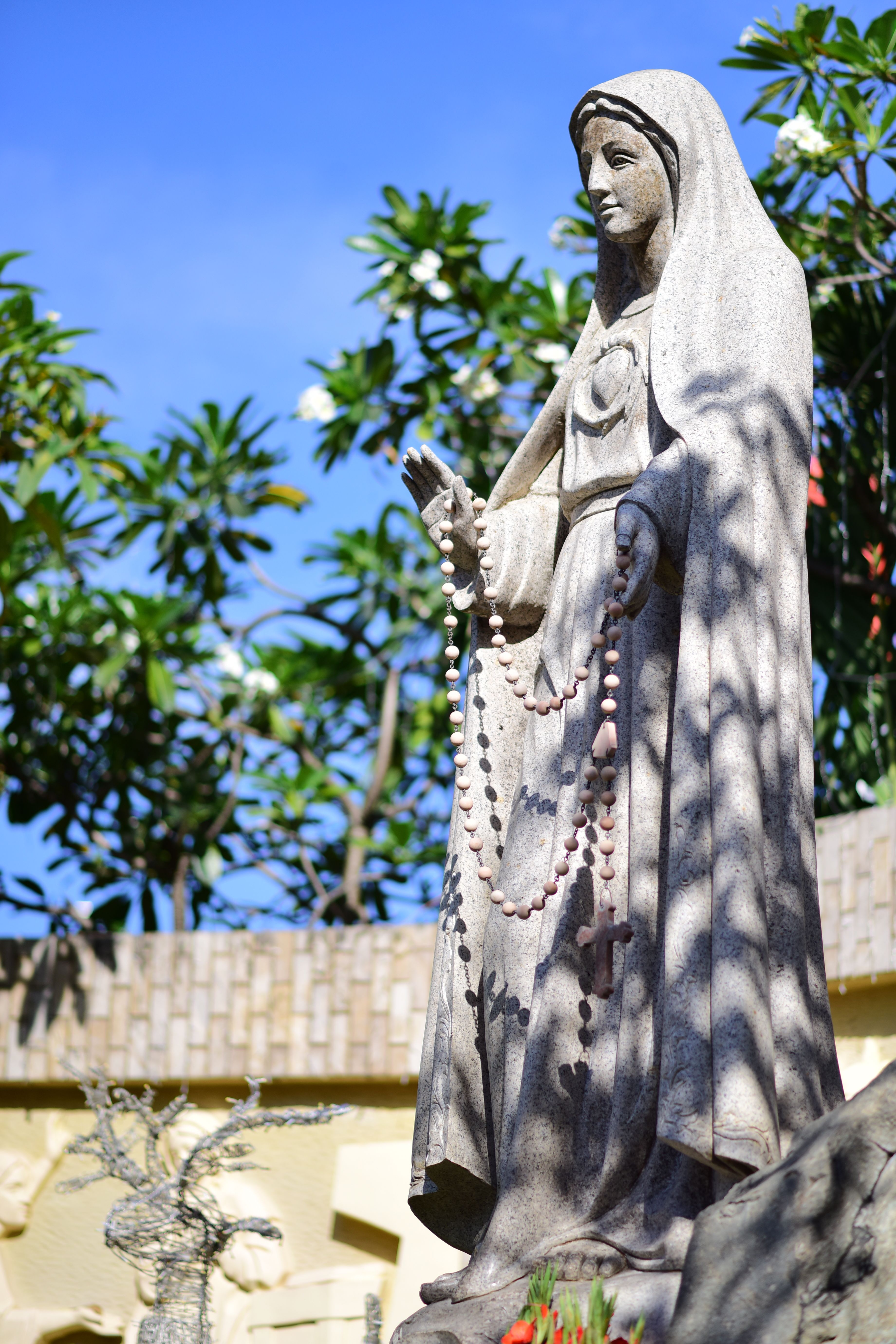 Immaculate Heart Of Mary Photos, Download The BEST Free Immaculate ...
