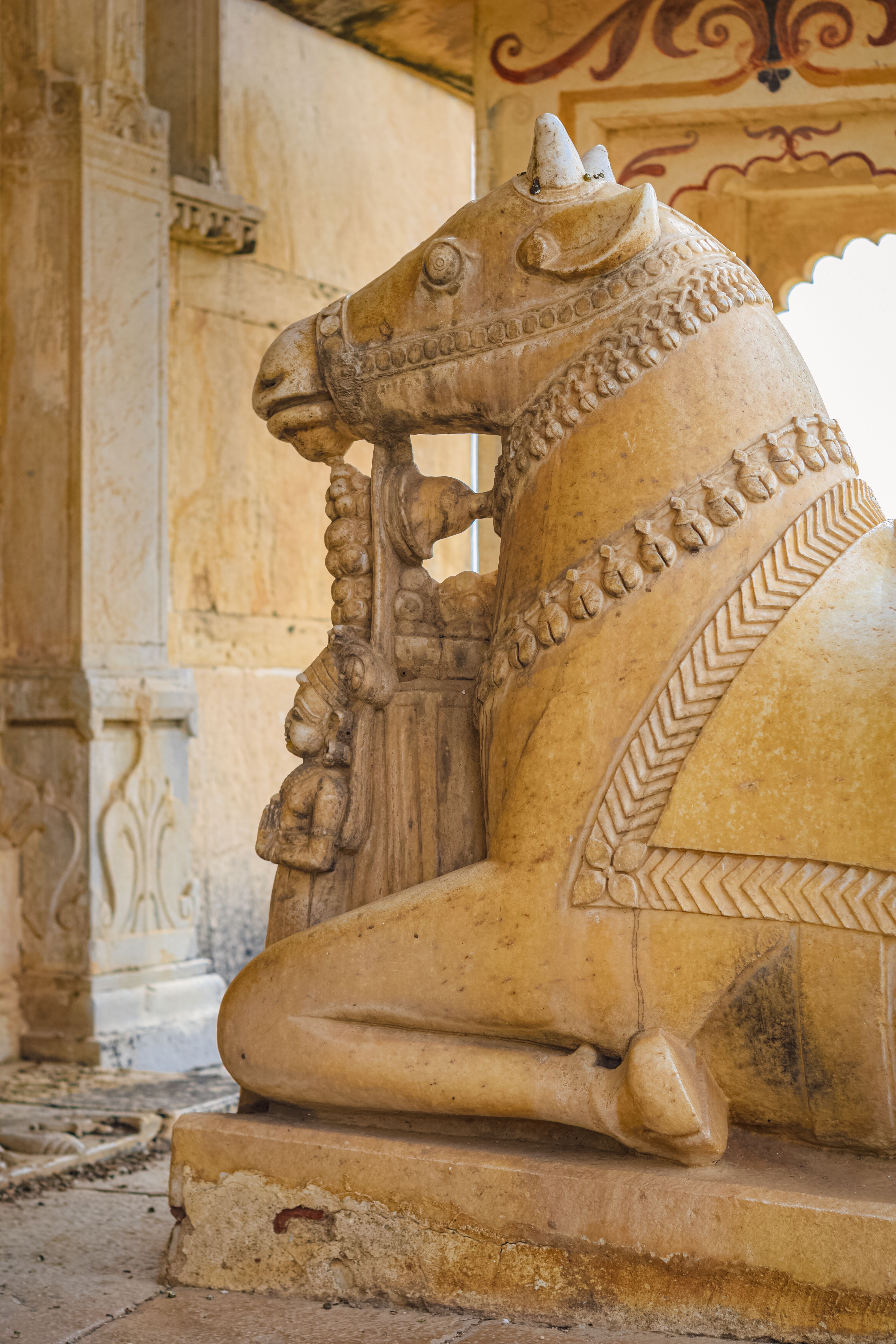 Nandi Photos, Download The BEST Free Nandi Stock Photos & HD Images