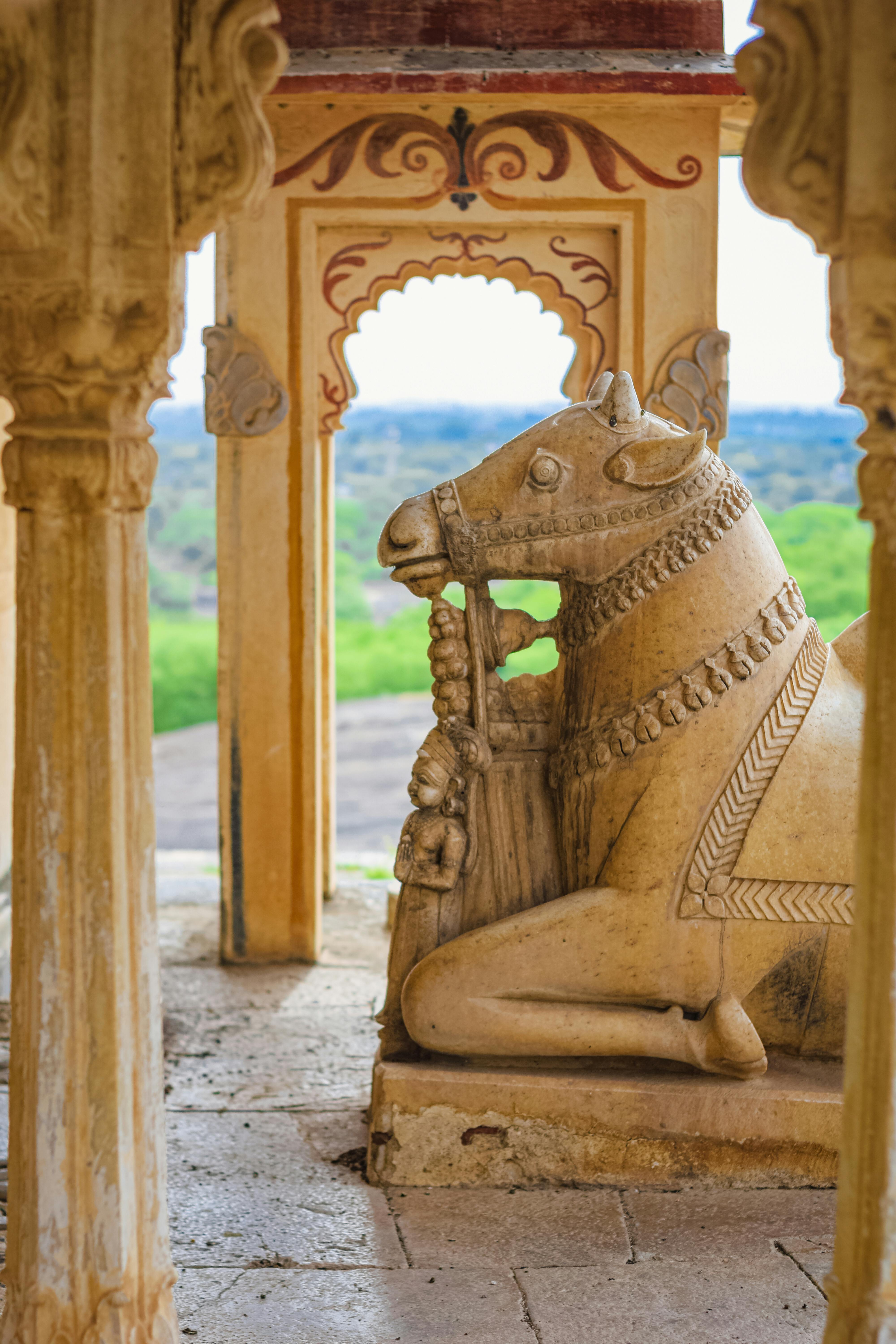 Hindu Brahman Photos, Download The BEST Free Hindu Brahman Stock Photos ...