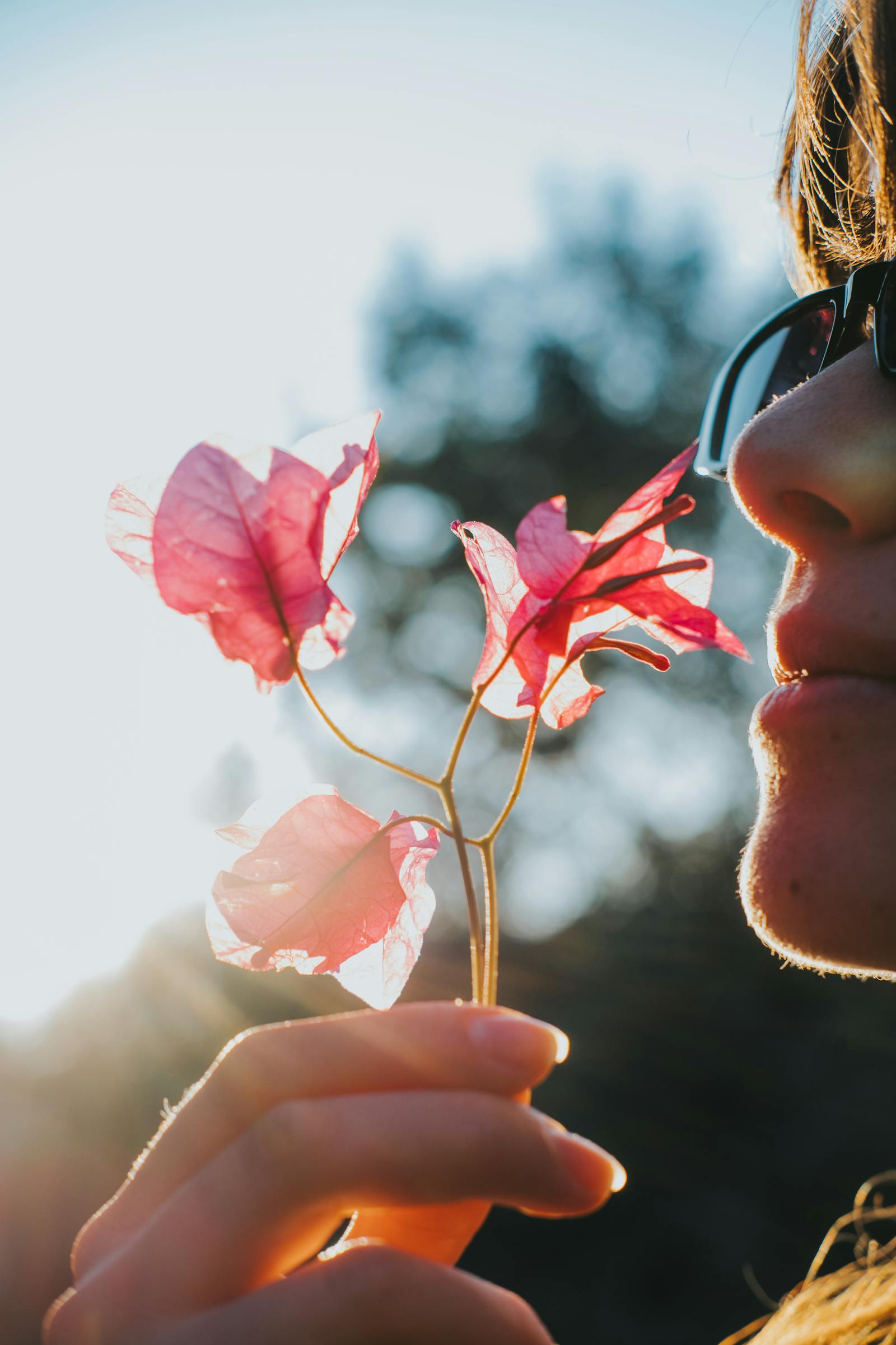 Aesthetic Pink Pfp Photos, Download The BEST Free Aesthetic Pink Pfp ...