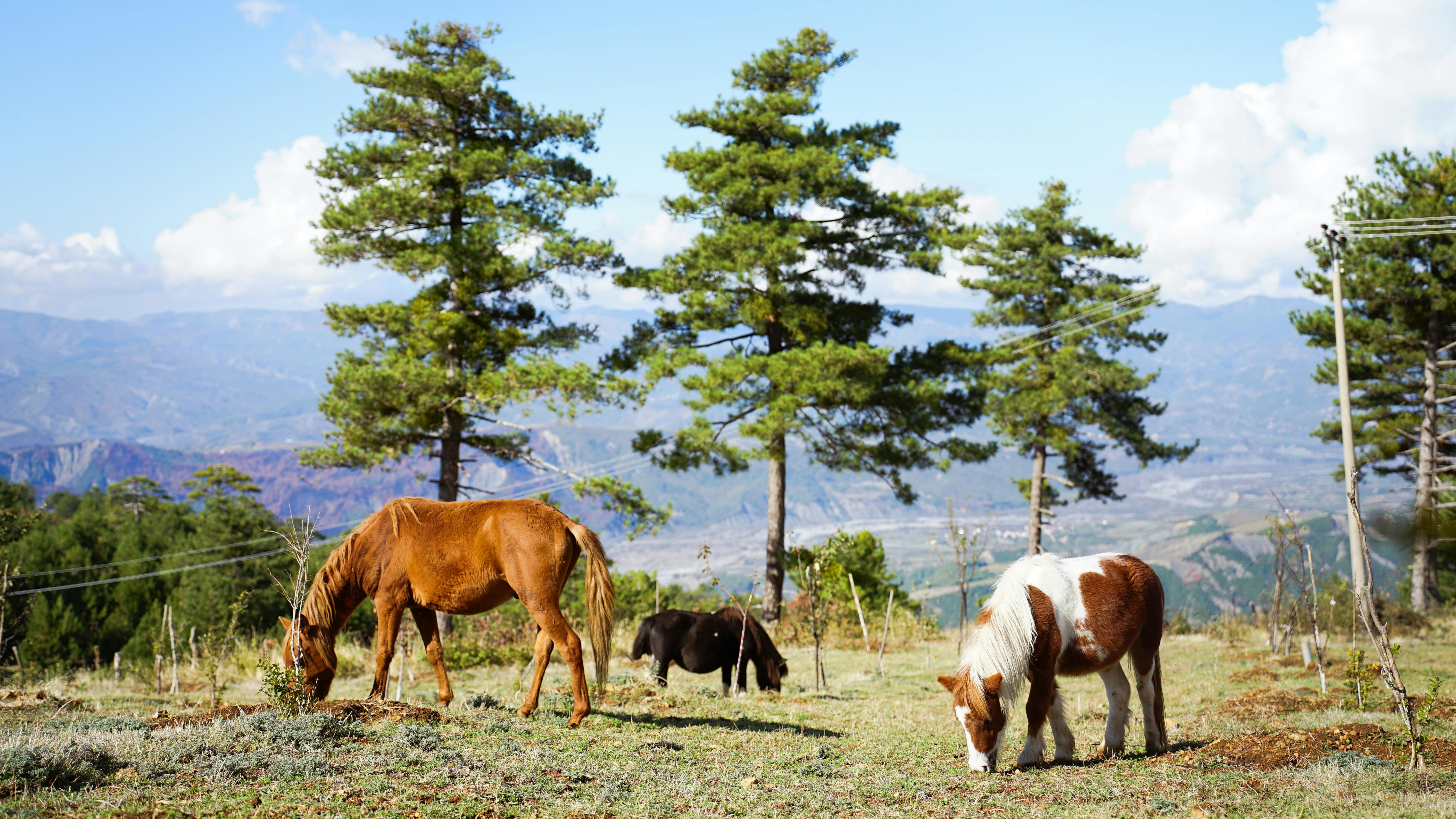 Buzzer+Images Photos, Download The BEST Free Buzzer+Images Stock Photos ...