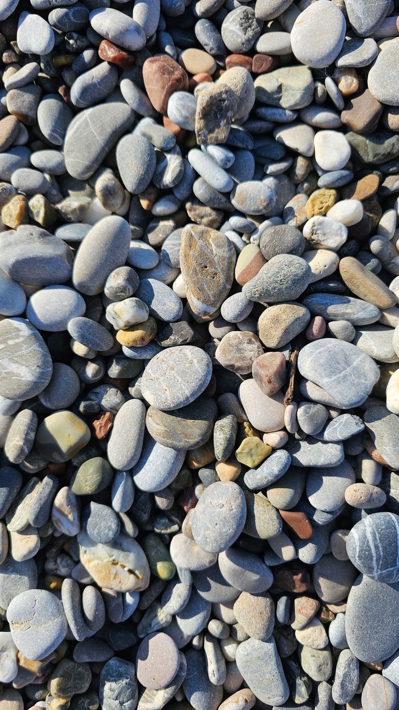 Pebbles Photos, Download The BEST Free Pebbles Stock Photos & HD Images