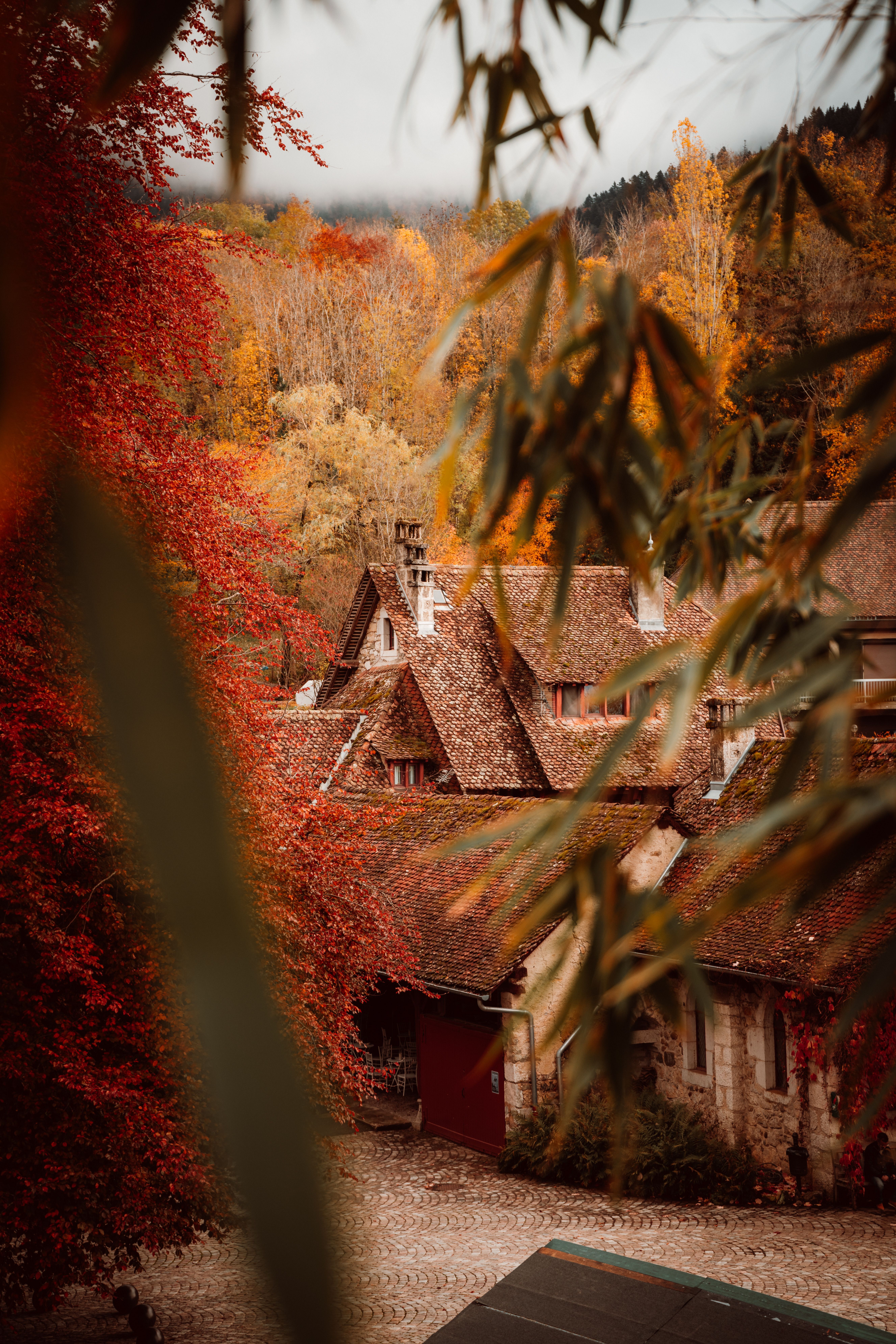 Charming Autumn Village Scene with Rustic Cottages · Free Stock Photo