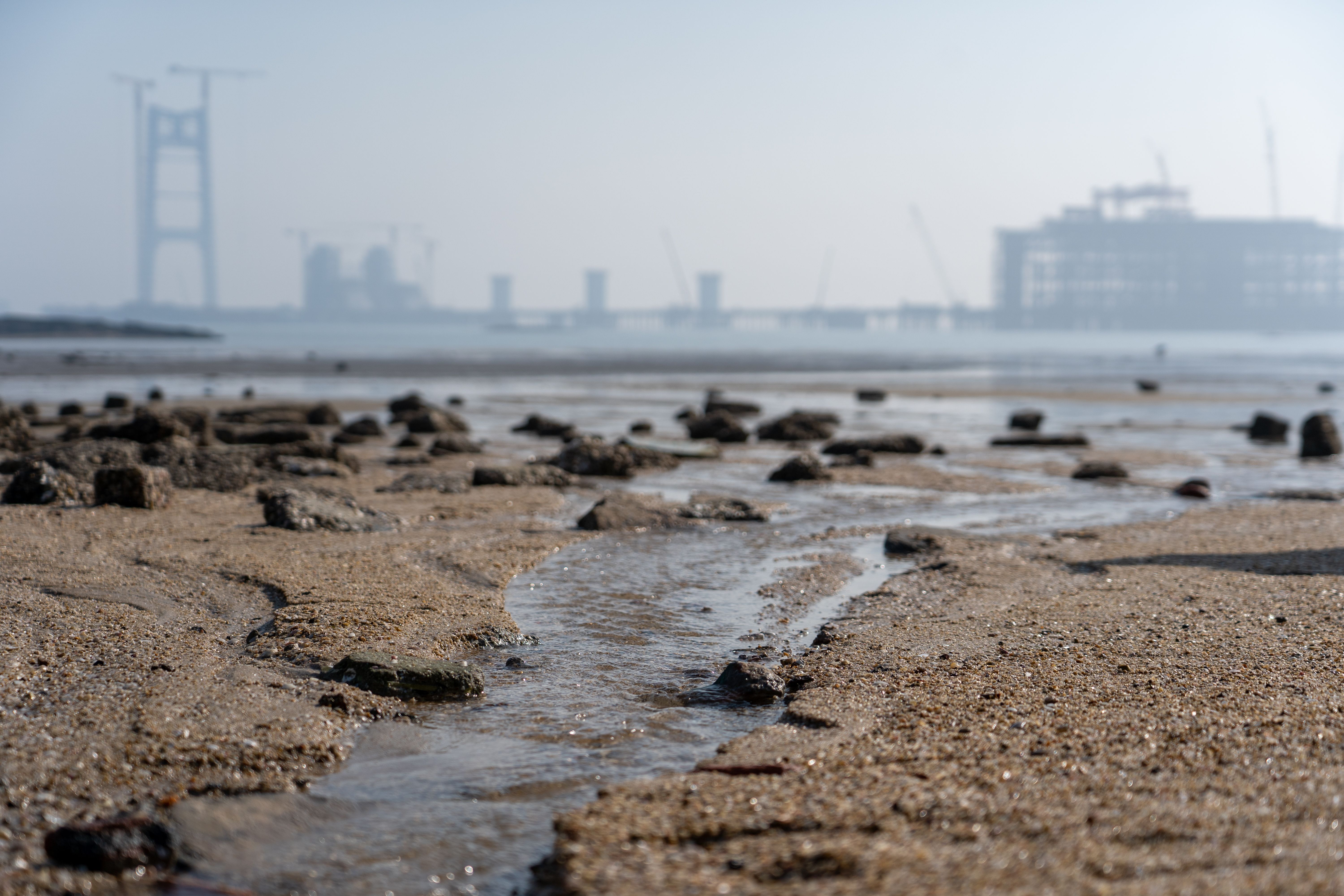 Water Foreground Photos, Download The BEST Free Water Foreground Stock ...