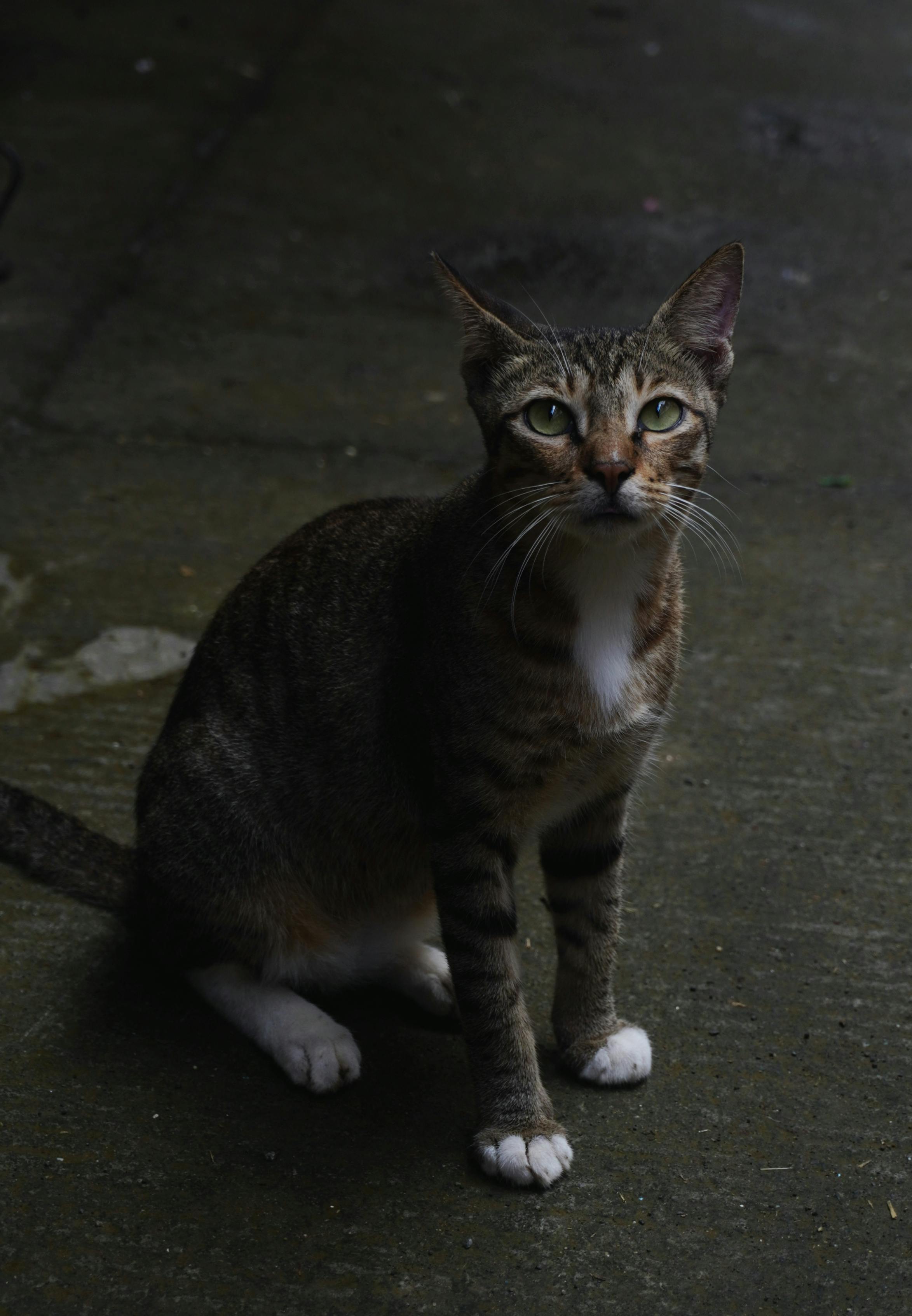 J.+Watch+Videos Photos, Download The BEST Free J.+Watch+Videos Stock ...