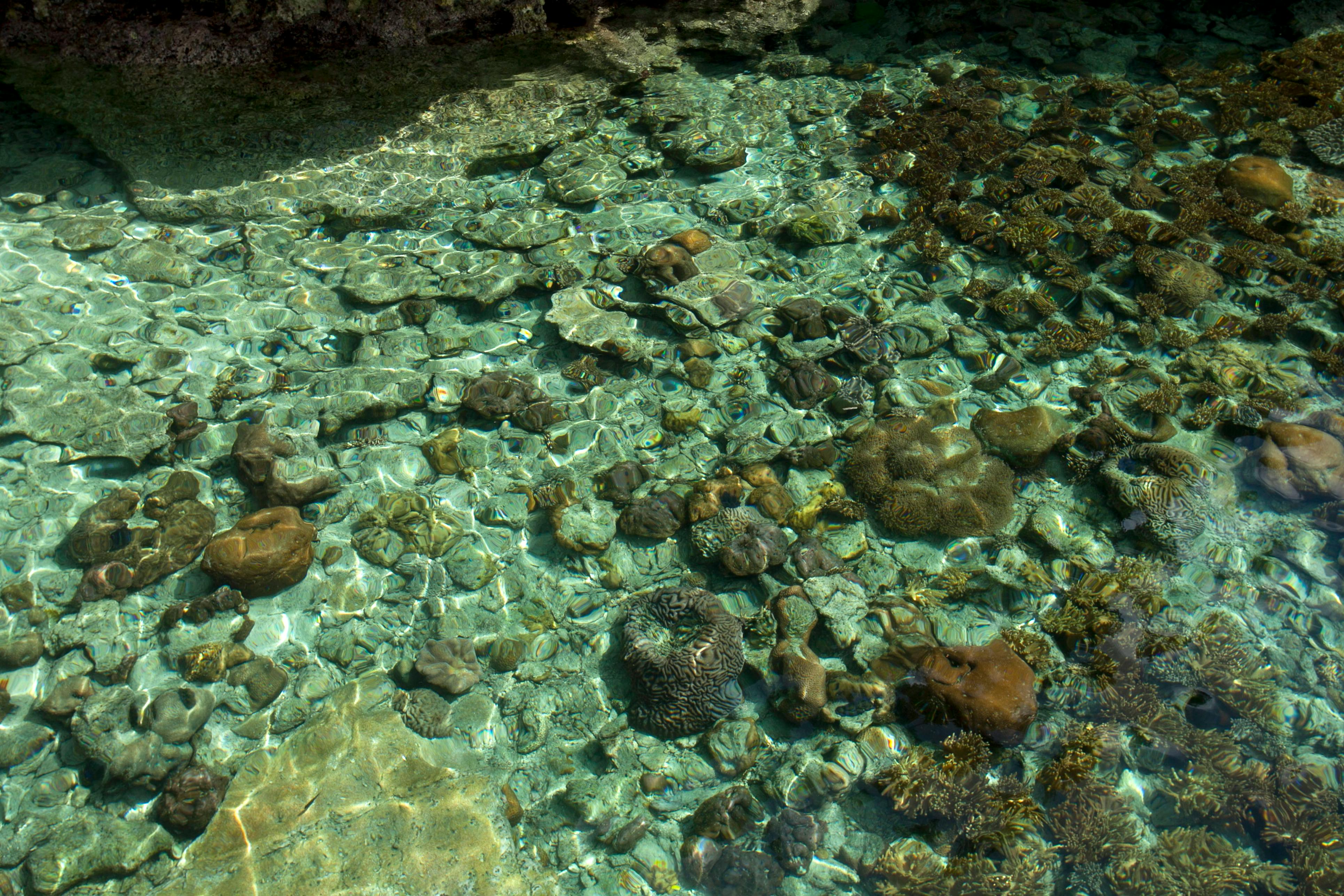 Crystal Rae+Si̇ki̇ş Photos, Download The BEST Free Crystal Rae+Si̇ki̇ş ...