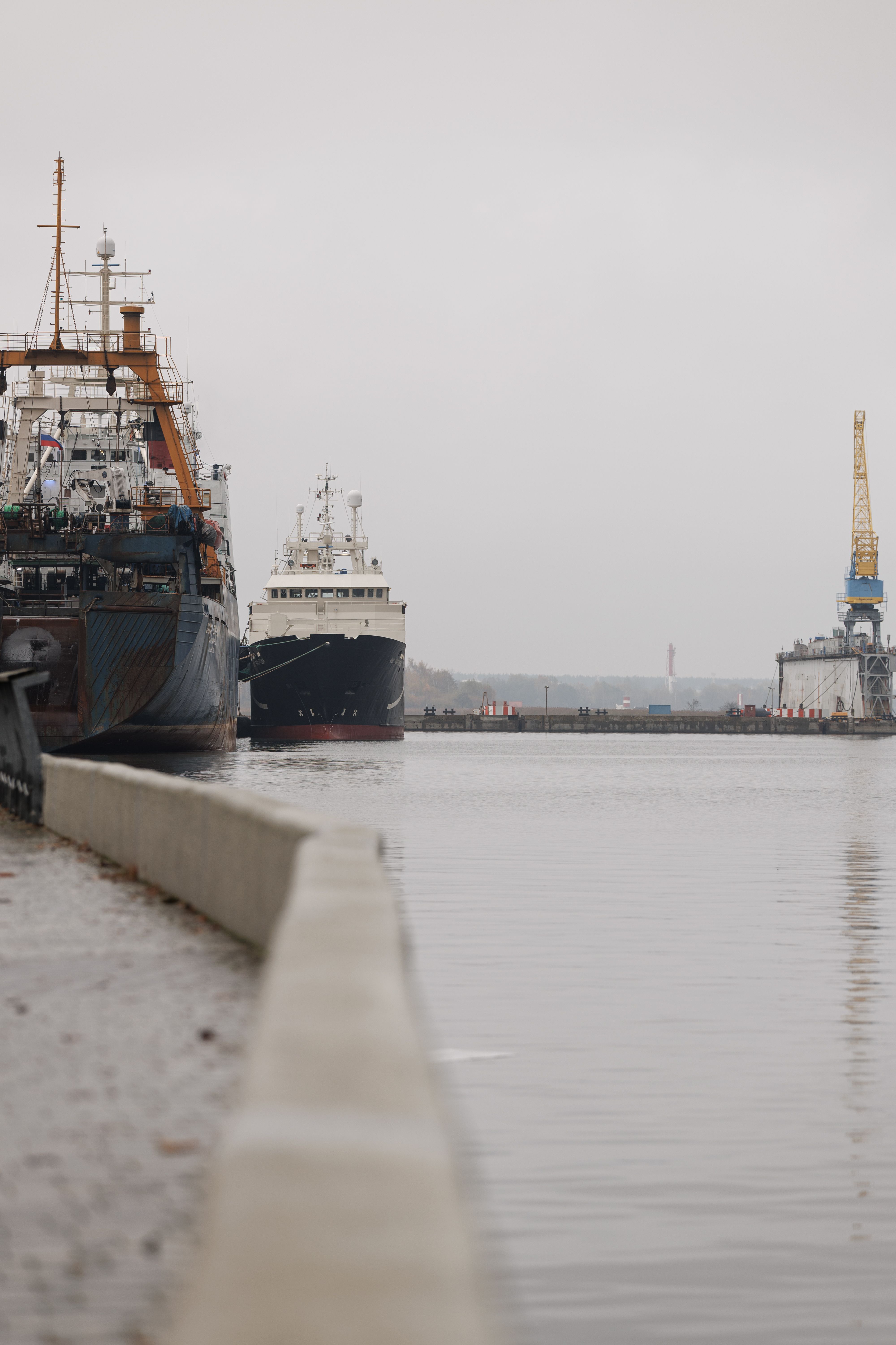 Industrial Dock with Cargo Ships and Cranes · Free Stock Photo