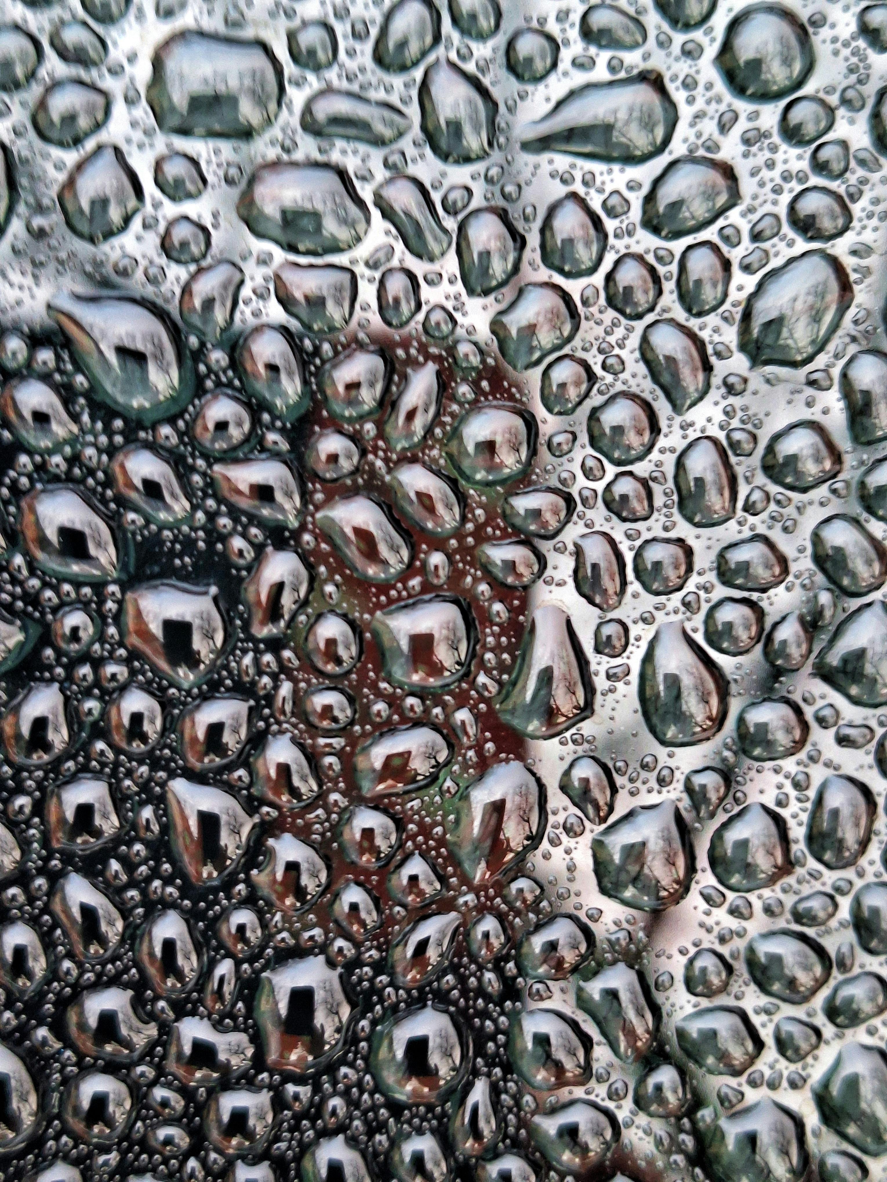 800+ najlepszych zdjęć z kategorii: Random · Do pobrania całkowicie za ...