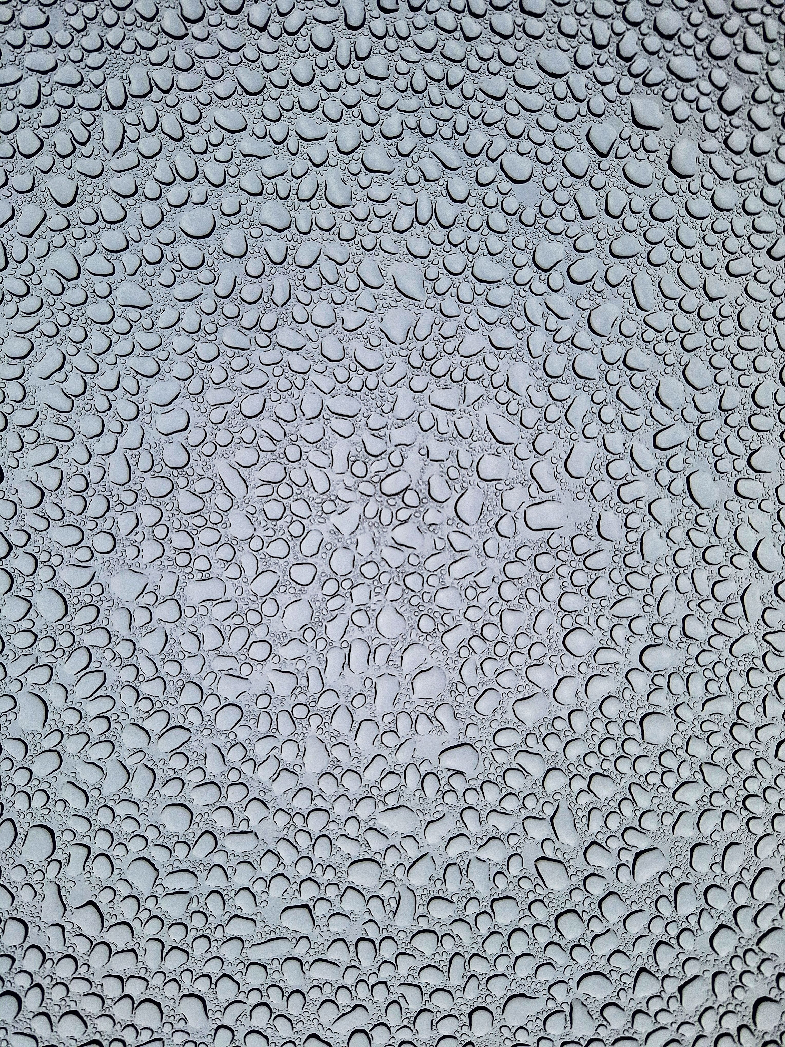 Close-up of Water Droplets Forming a Pattern · Free Stock Photo