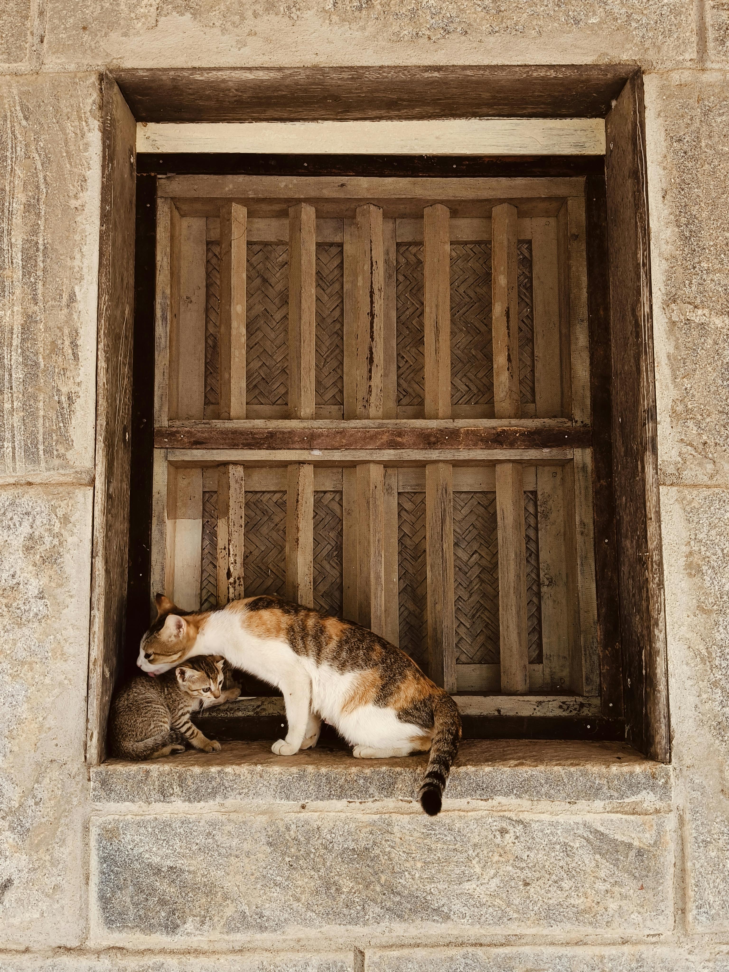 Cute+Nn+Jb+Girls Photos, Download The BEST Free Cute+Nn+Jb+Girls Stock ...