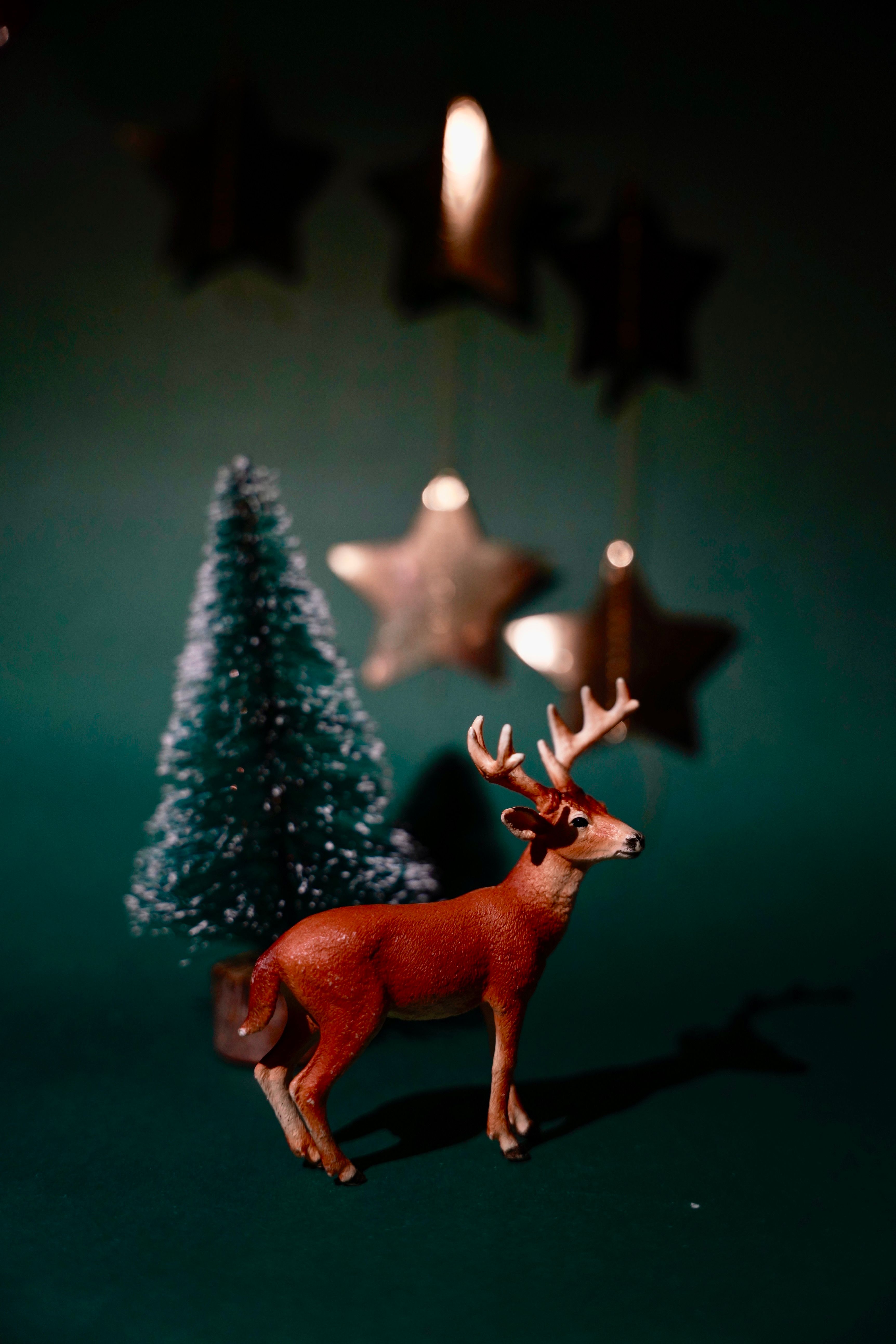 Free Christmas Scene Photos, Download The BEST Free Free Christmas ...