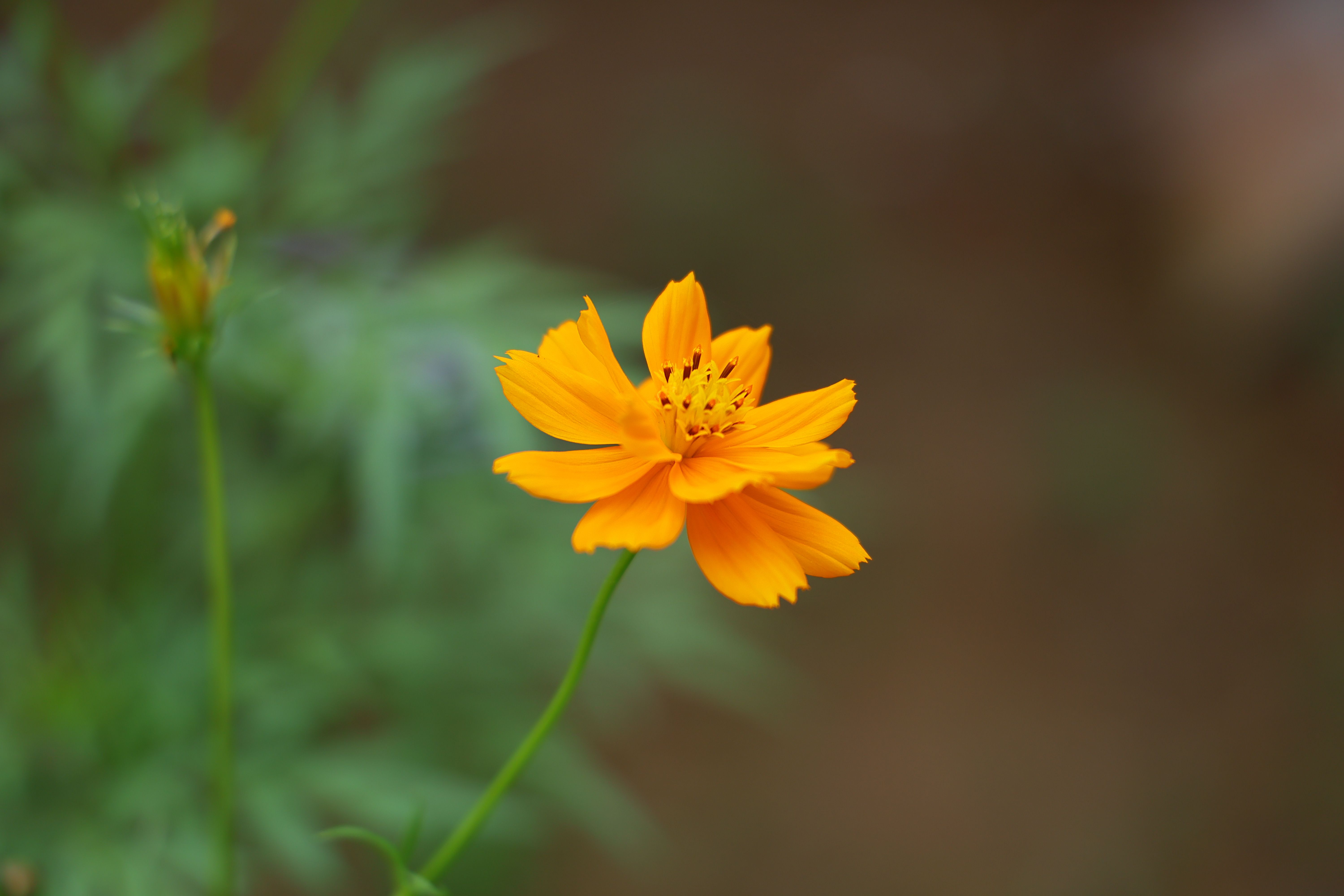 Preaching Background Photos, Download The BEST Free Preaching ...