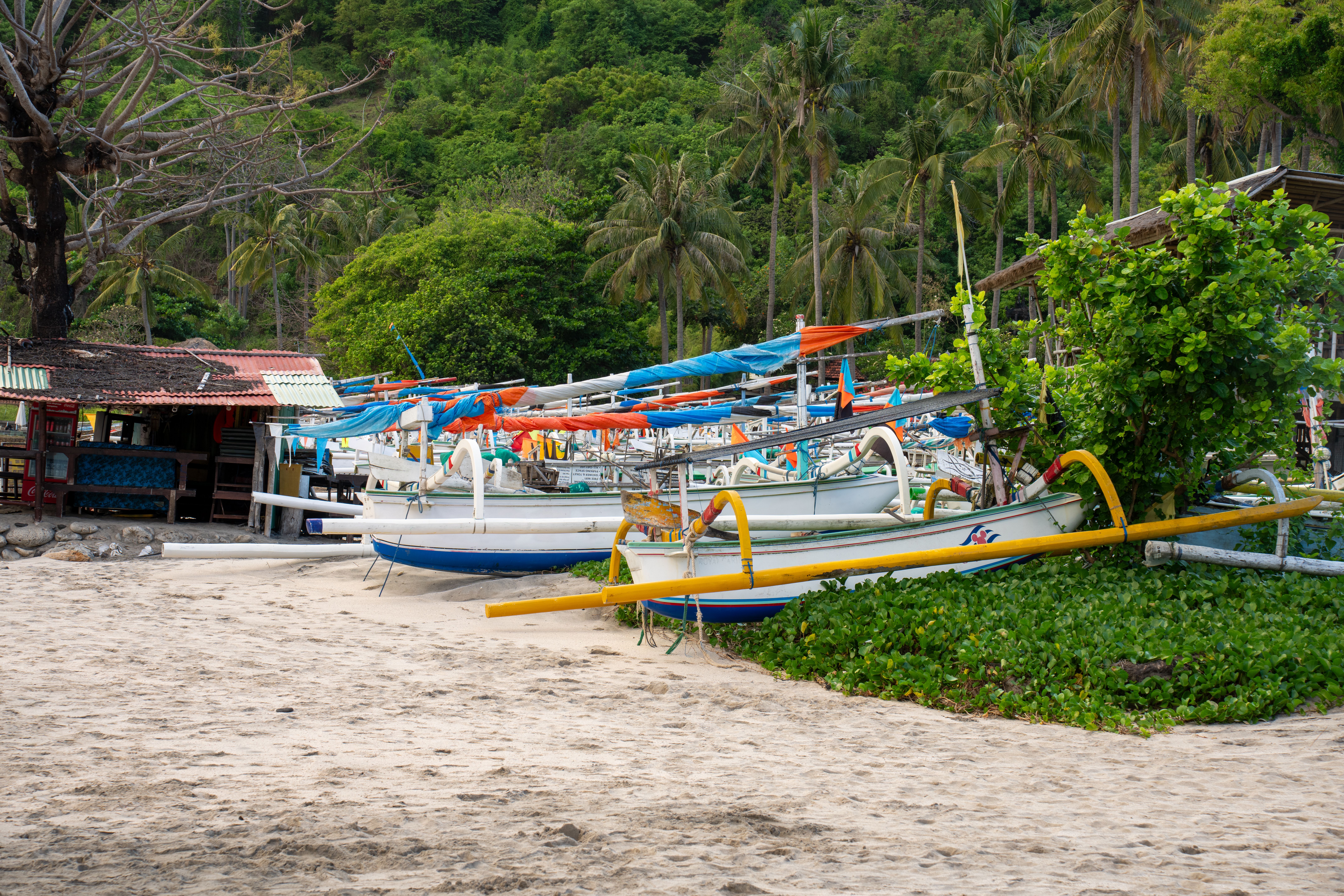 Traditional Fishing Boats on Bali Beachfront · Free Stock Photo