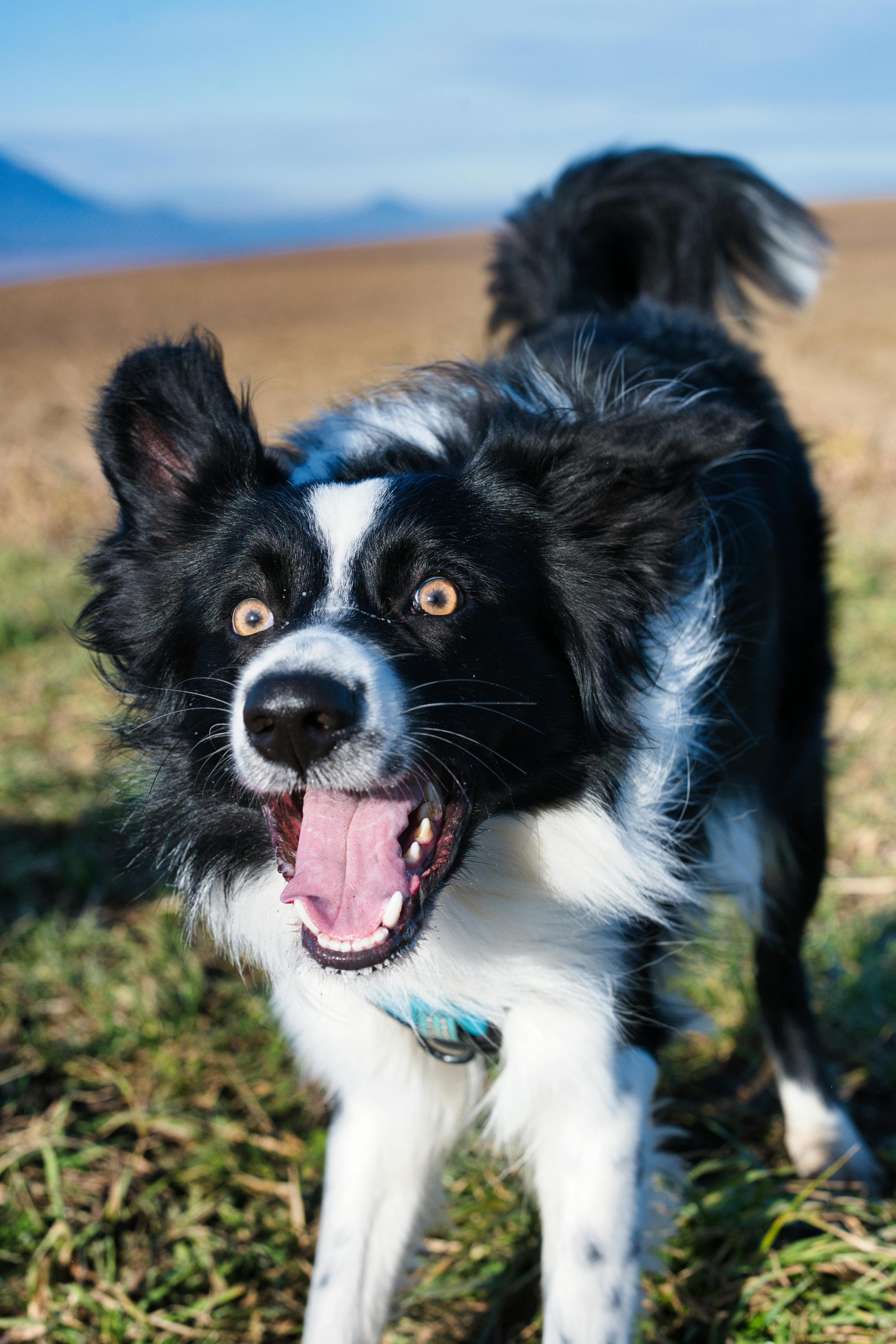 Free+The+Dis Photos, Download The BEST Free Free+The+Dis Stock Photos ...