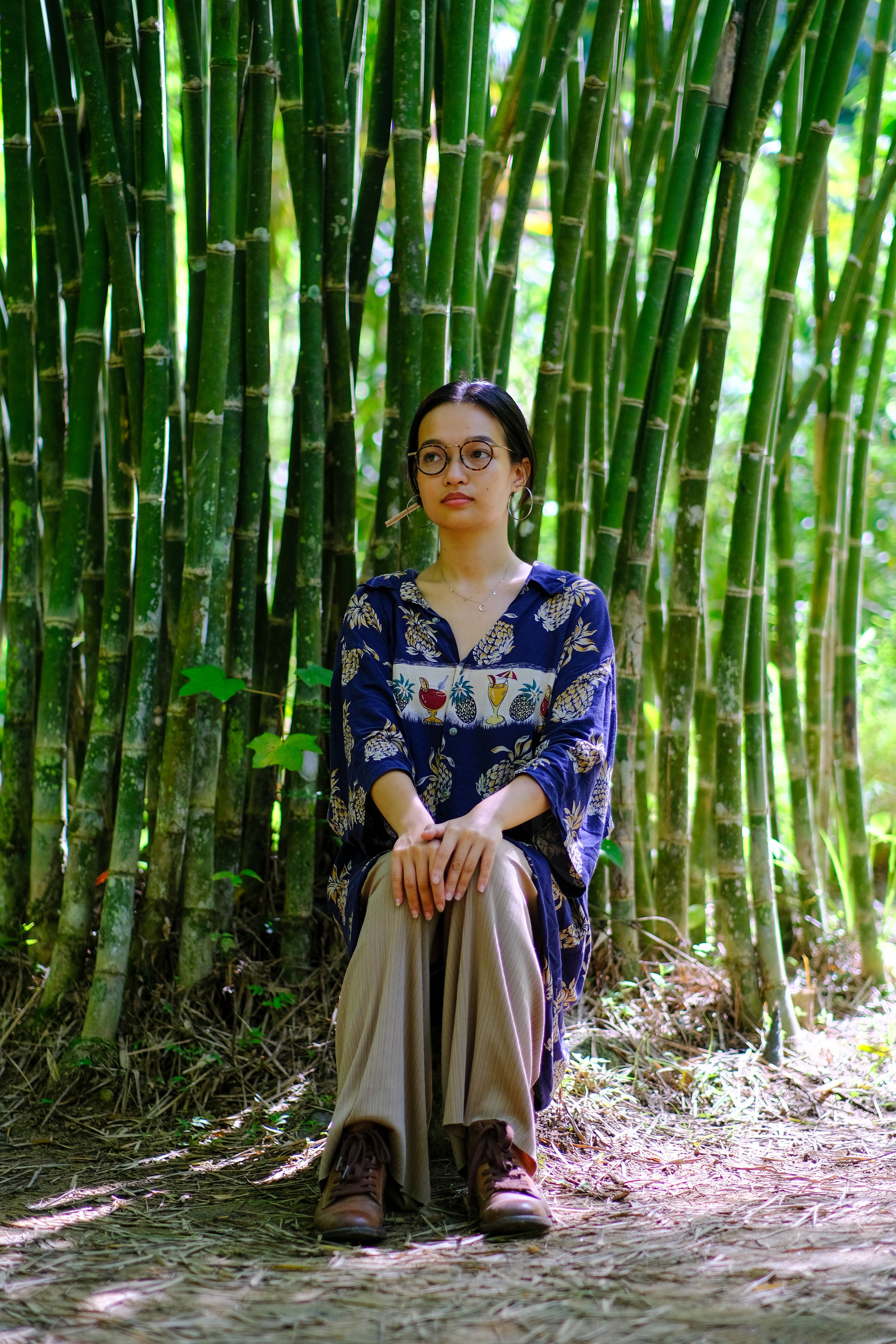 Serene Moment in Bamboo Forest, Da Nang, Vietnam · Free Stock Photo