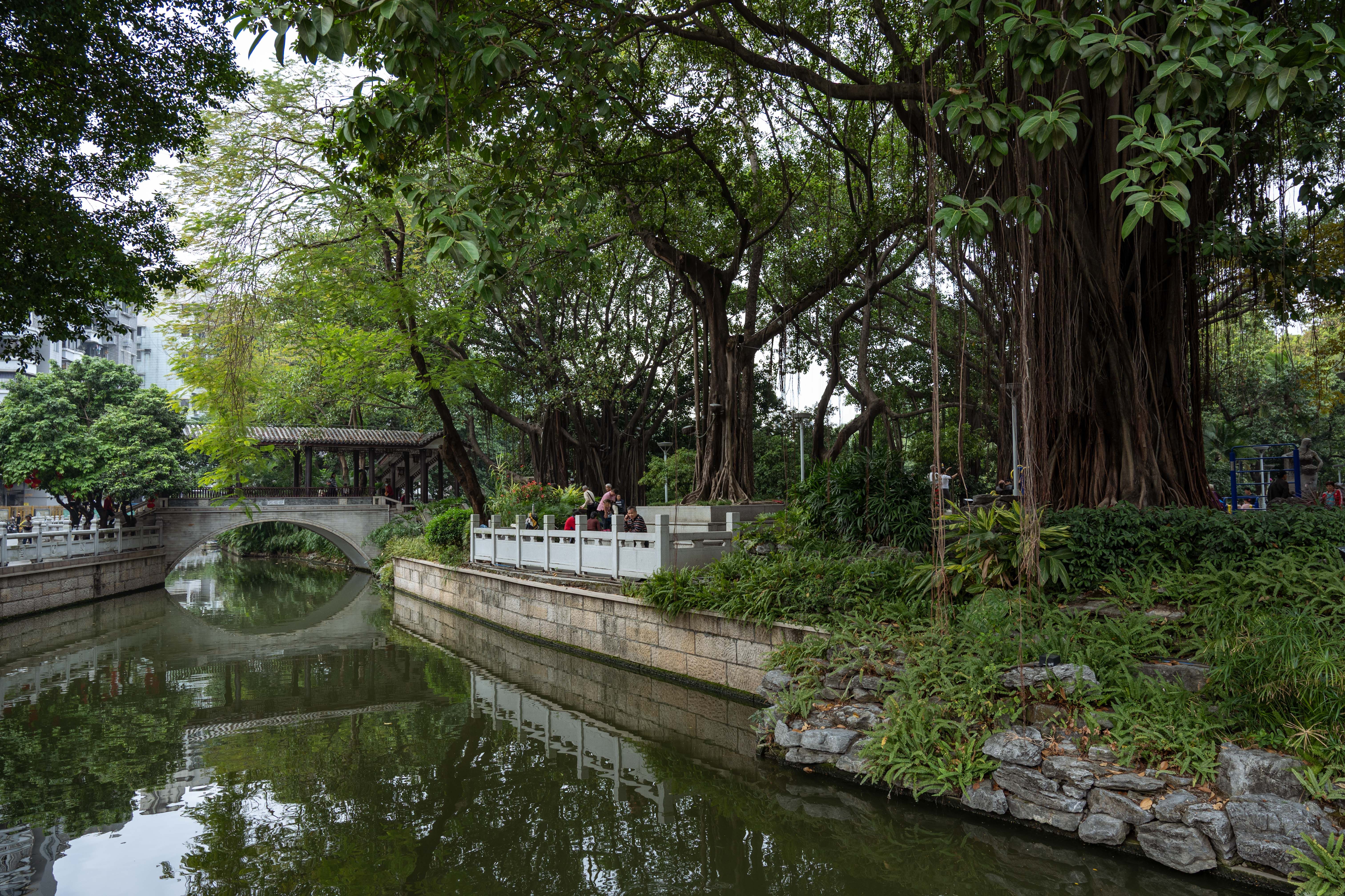 Serene park setting with ancient trees and stone bridge in Guangzhou ...