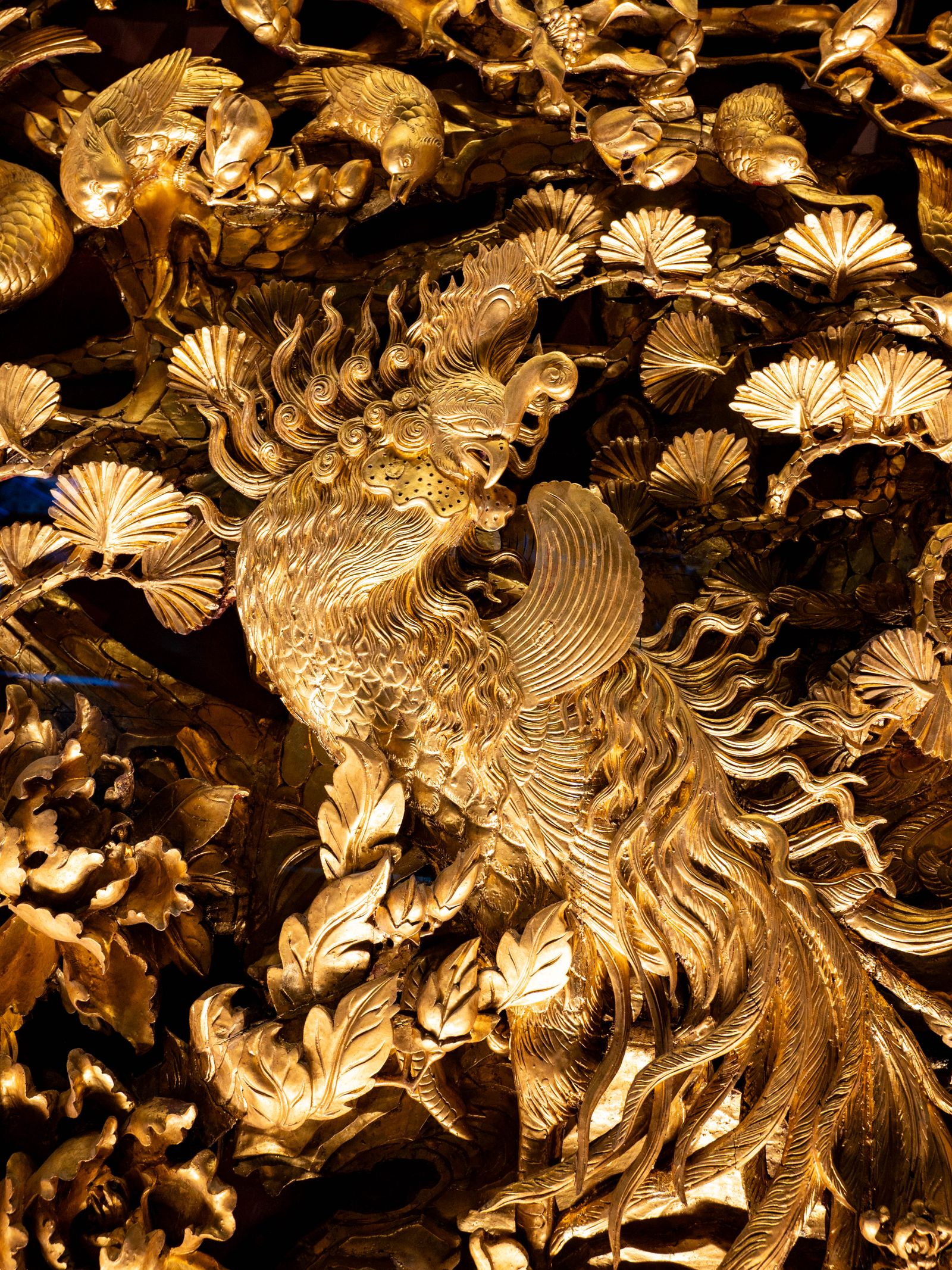 Phoenix Bird Photos, Download The BEST Free Phoenix Bird Stock Photos ...