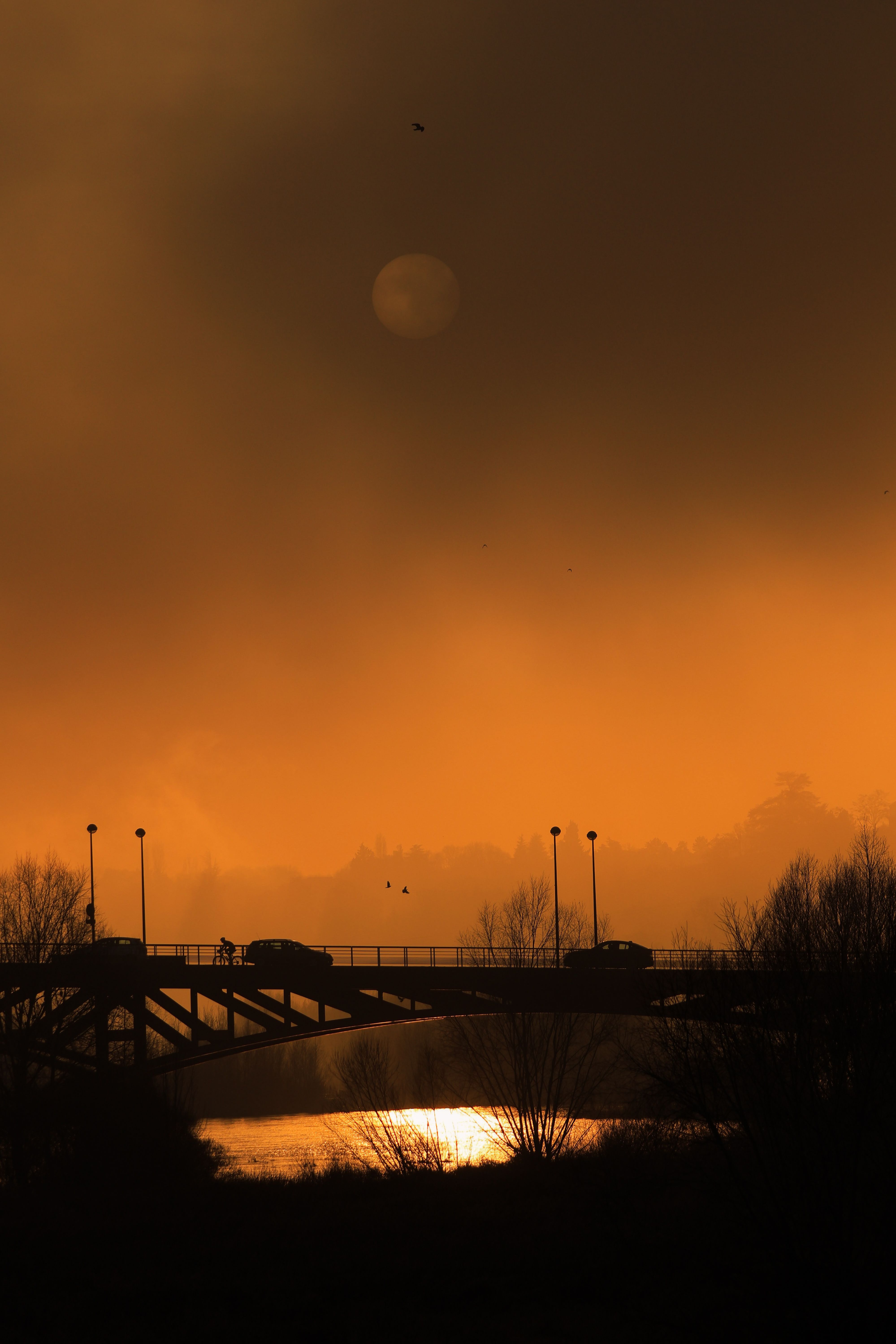 Bridge Orange Photos, Download The BEST Free Bridge Orange Stock Photos ...