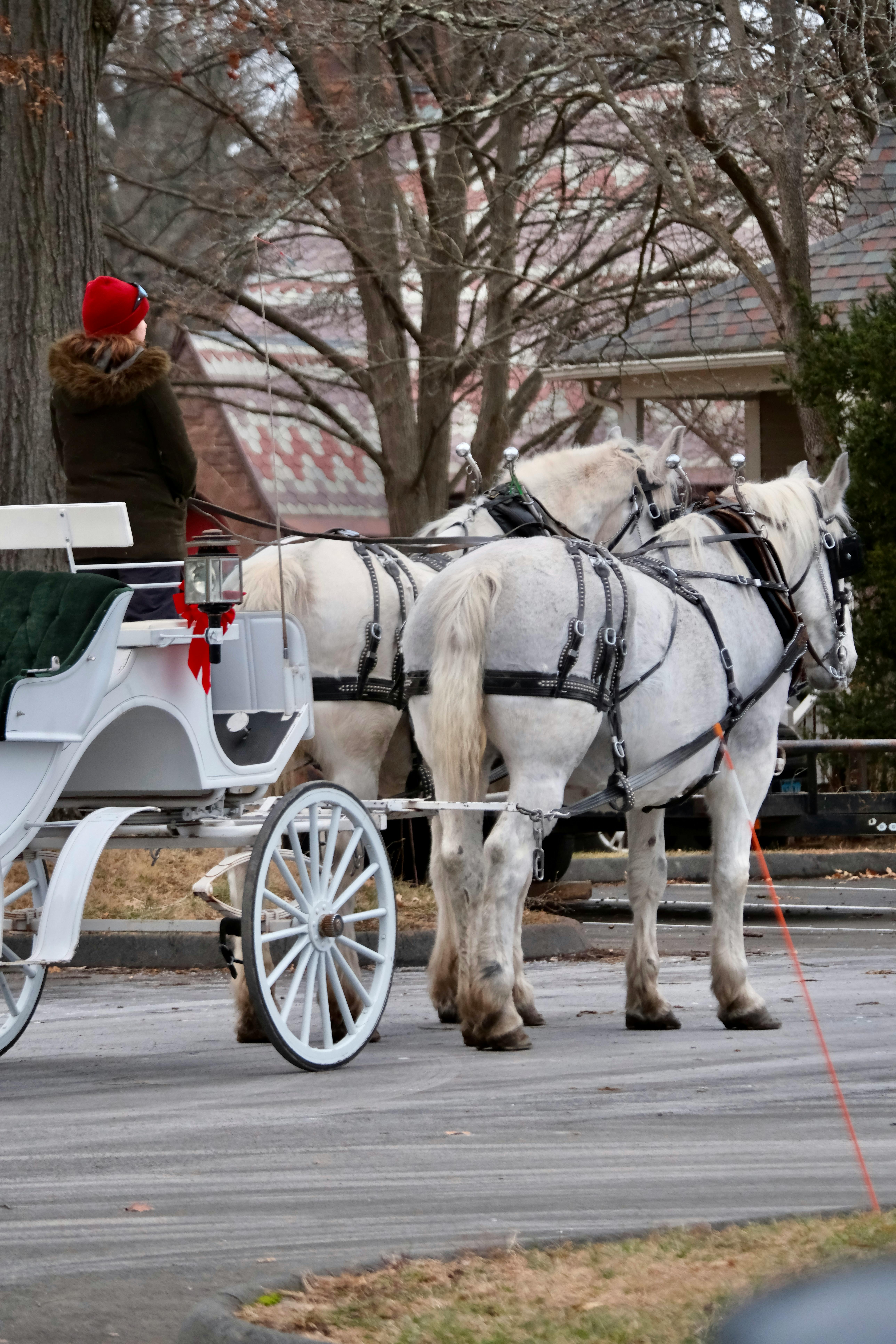 Snow Overlay Animation Photos, Download The BEST Free Snow Overlay ...