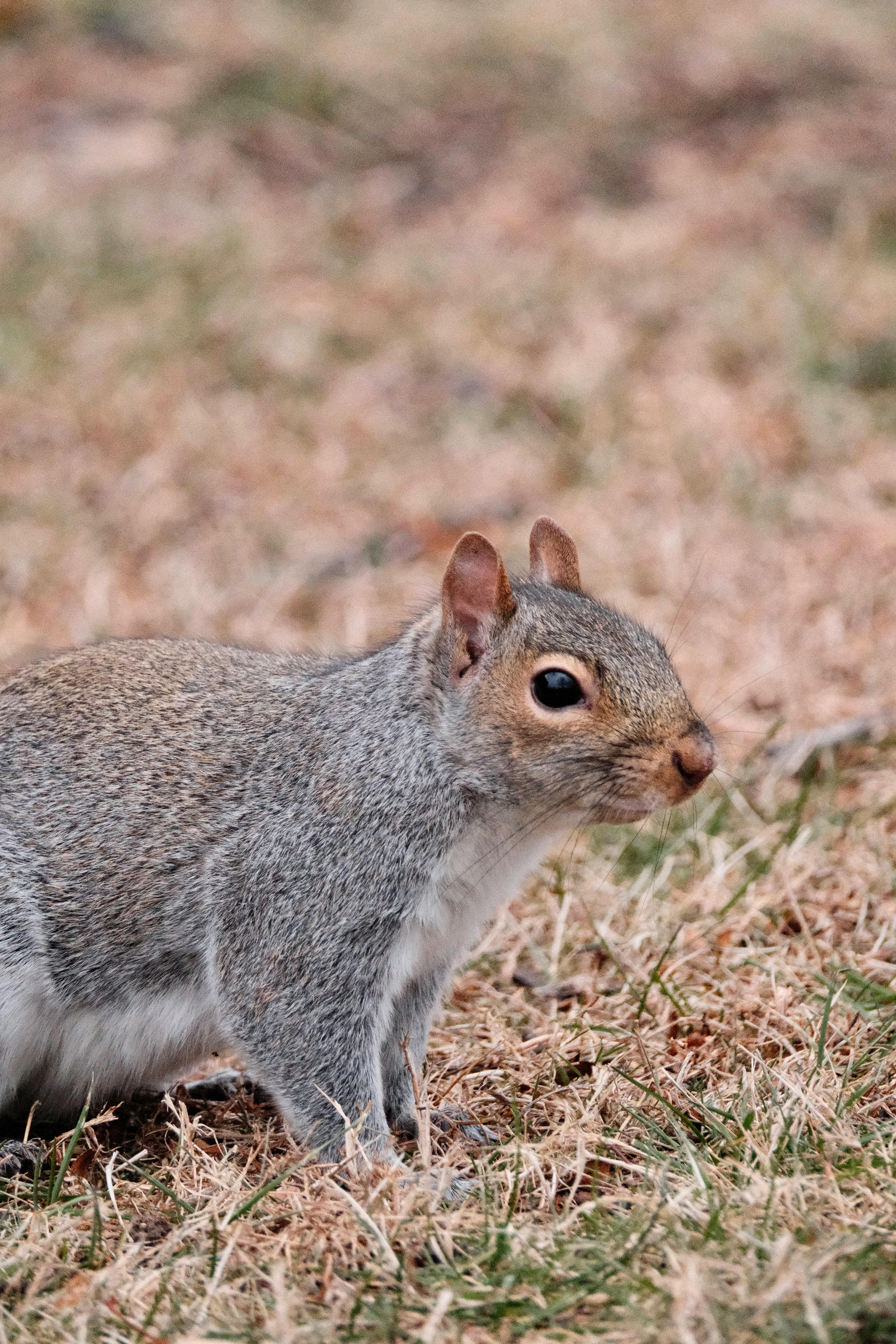 100.000+ About Us For Coding Bilder und Fotos · Kostenlos Downloaden ...