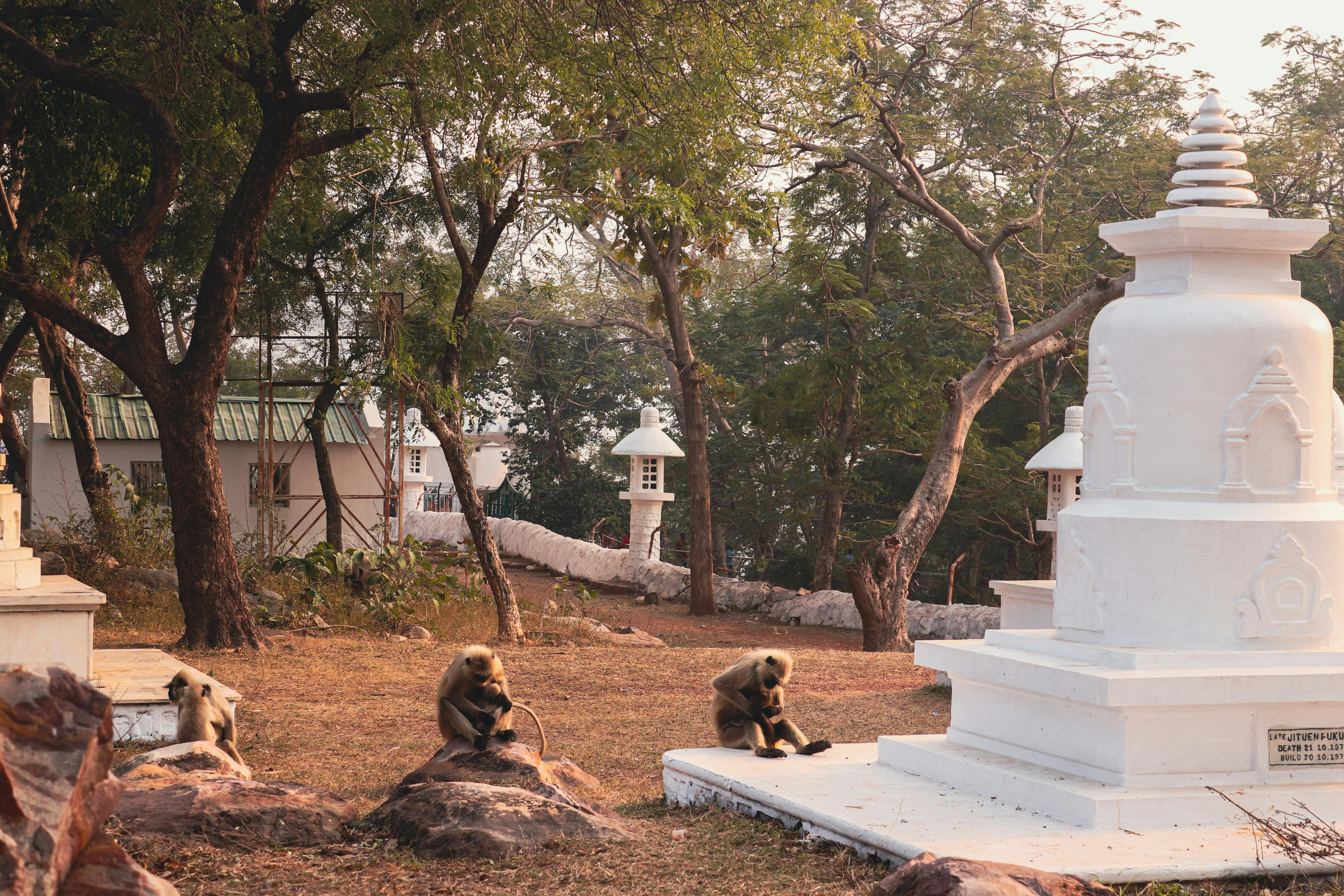 Indian+Bazaar Photos, Download The BEST Free Indian+Bazaar Stock Photos ...