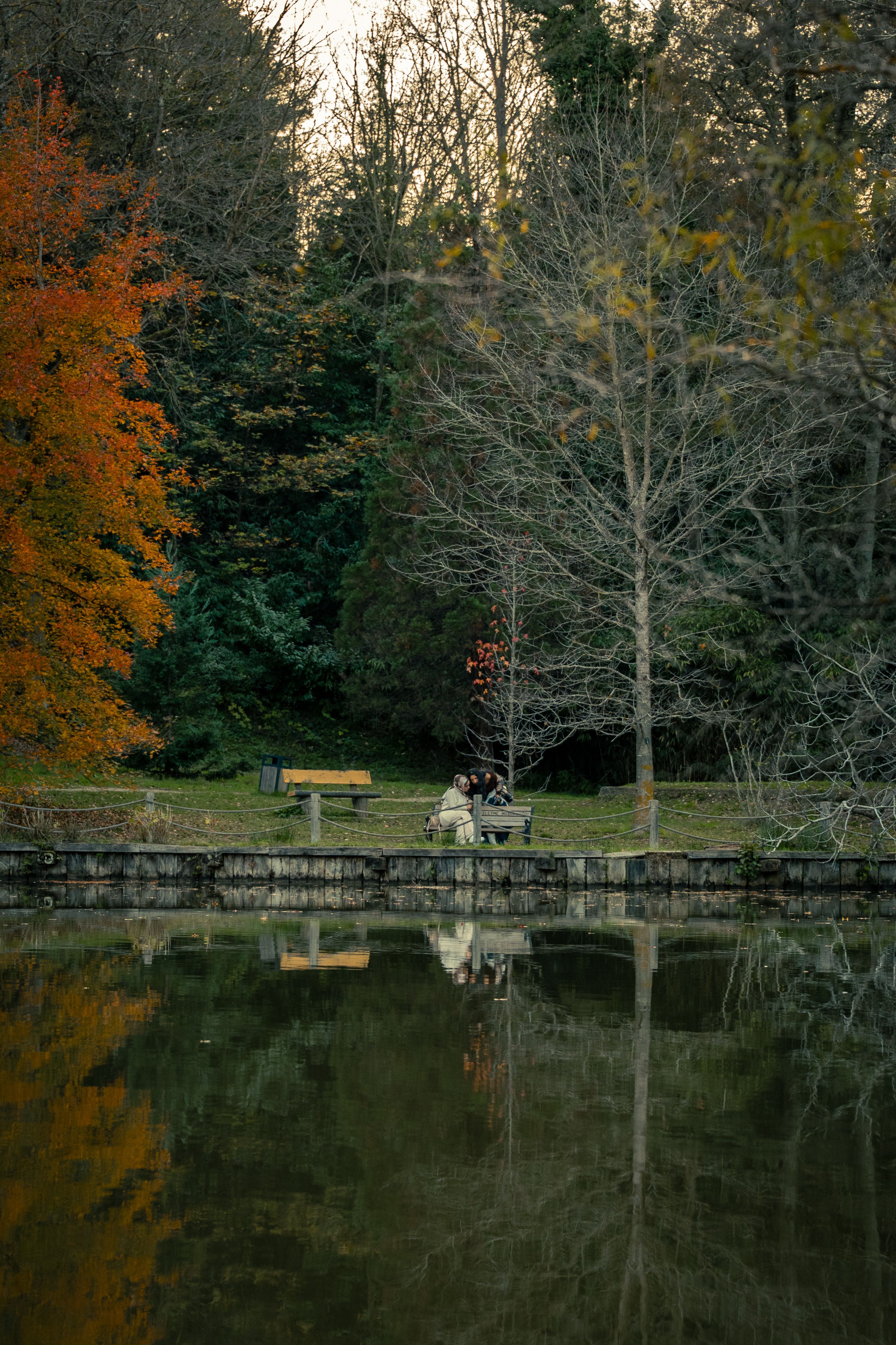 Peaceful Autumn Scene by the Lakeside · Free Stock Photo