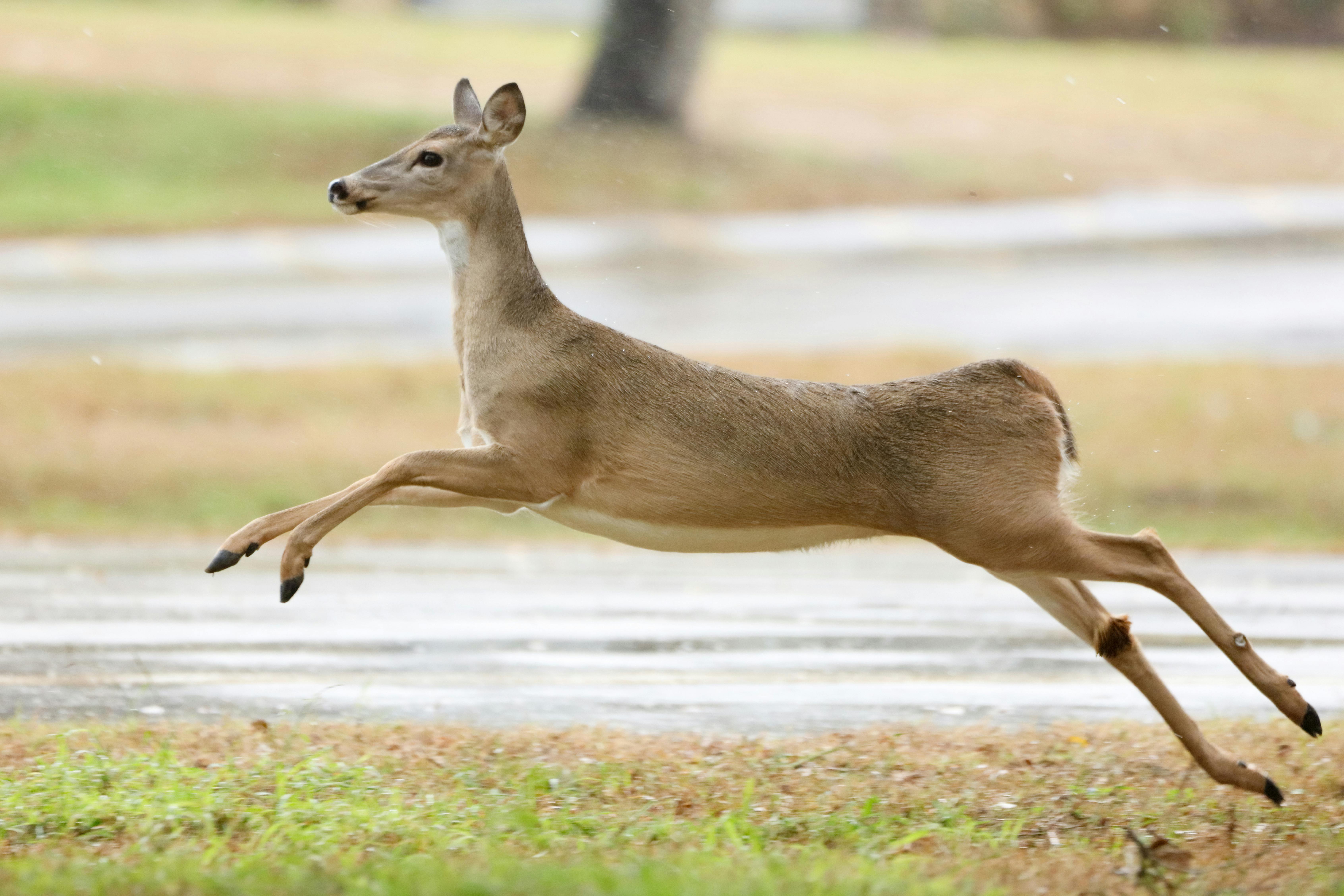 Free+Screensavers+Without+Downloading Photos, Download The BEST Free ...