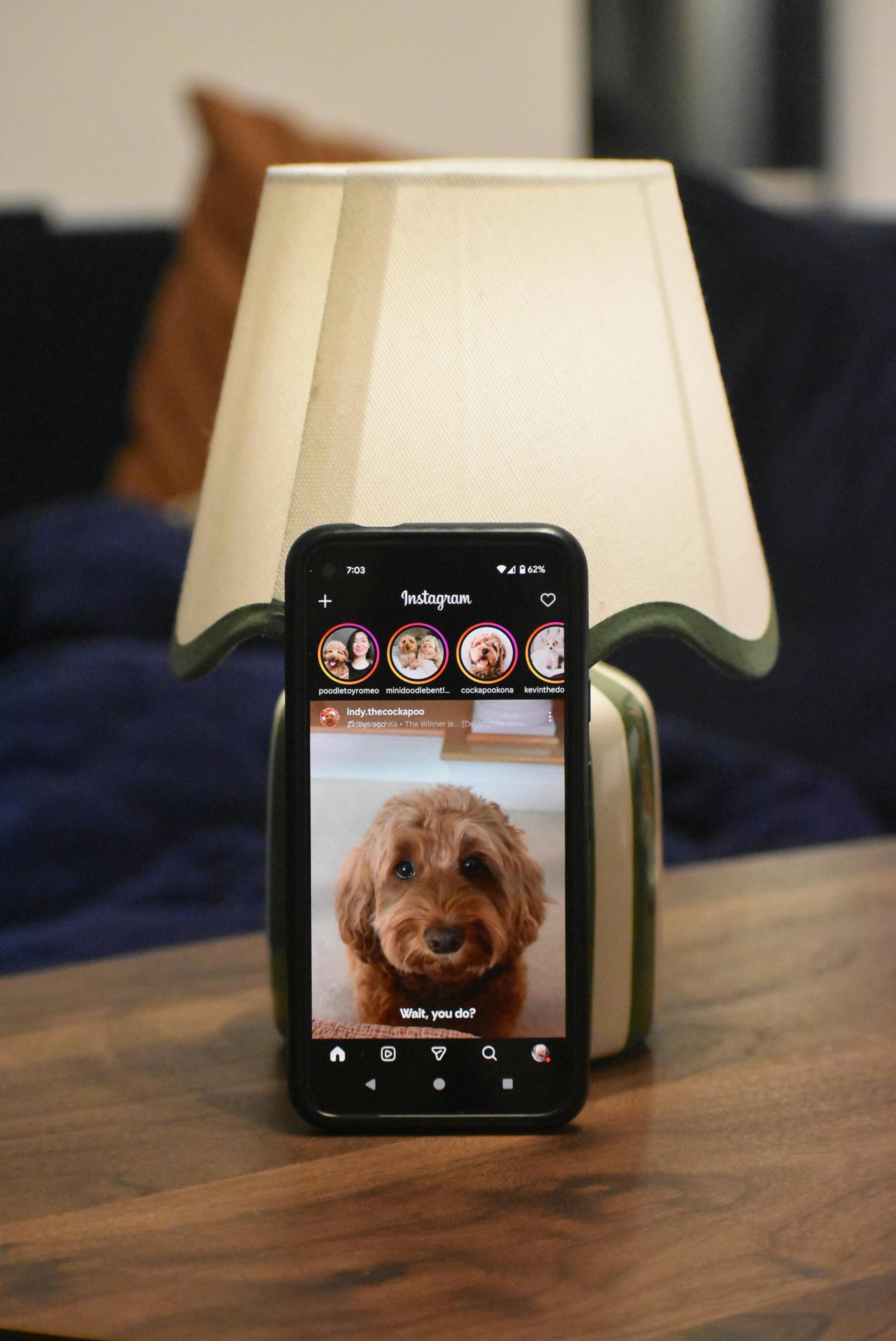 Buzzer+Images Photos, Download The BEST Free Buzzer+Images Stock Photos ...