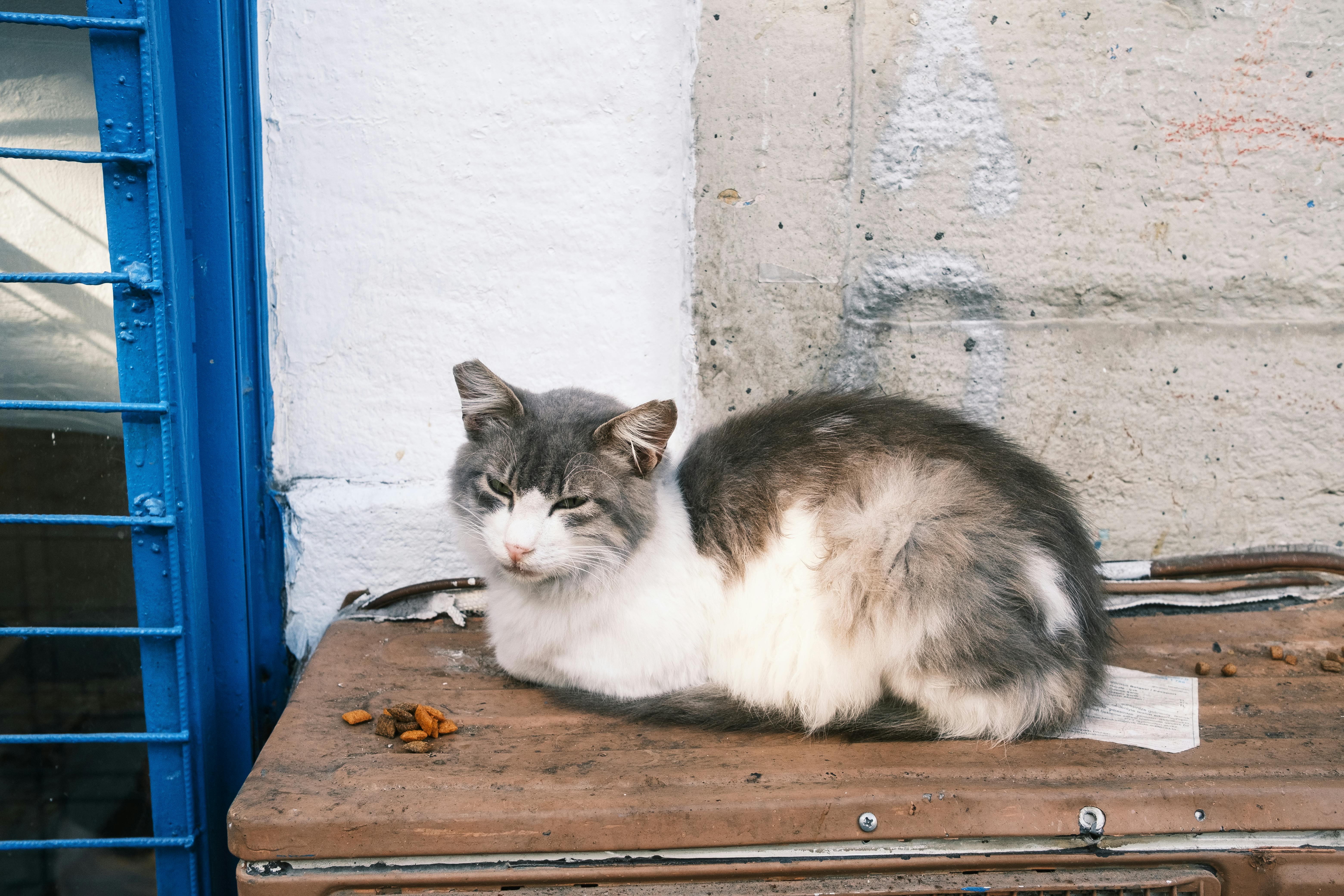 Minecraft+Shelf+Desktop+Wallpaper Photos, Download The BEST Free ...