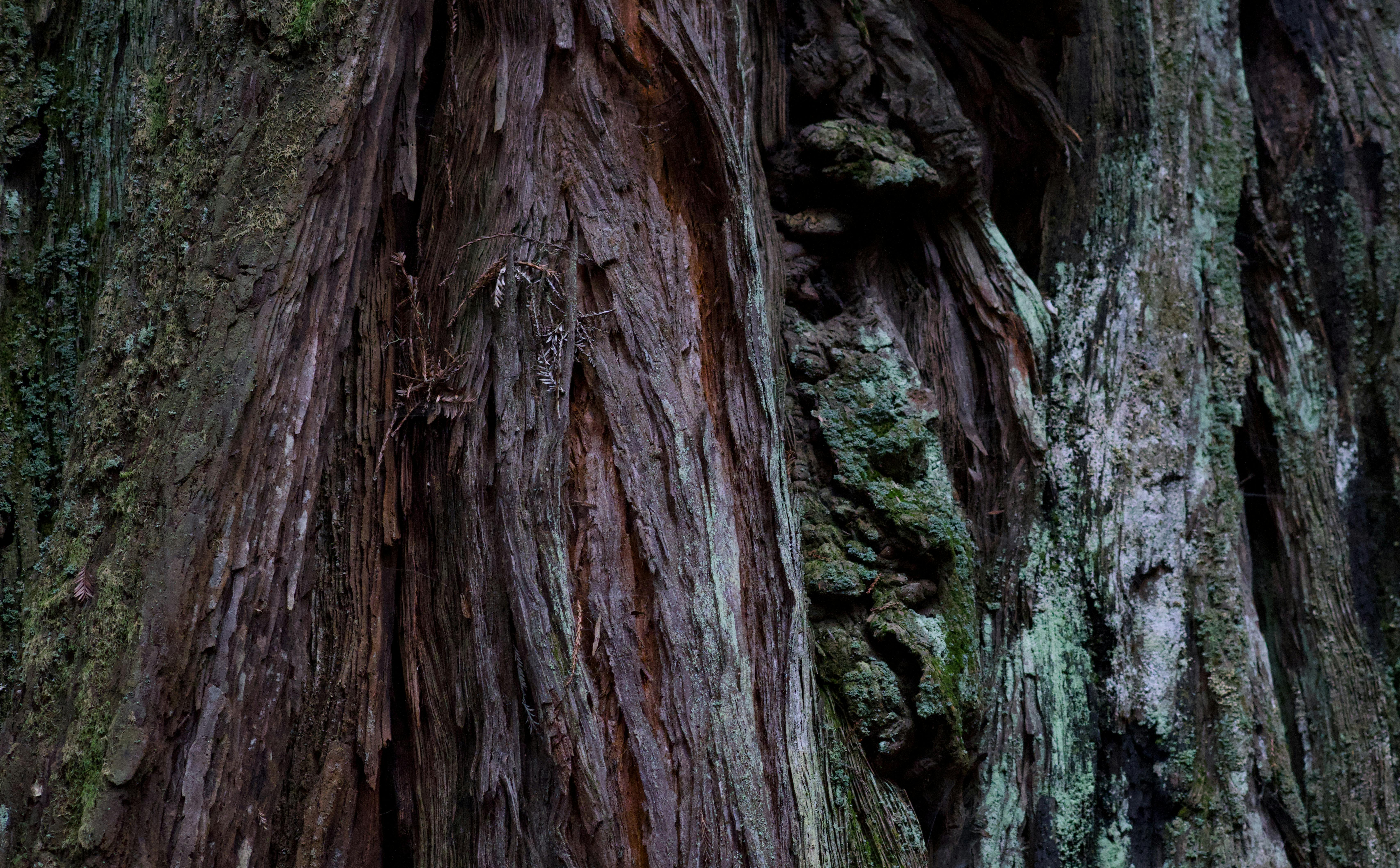 Mafia Background Photos, Download The BEST Free Mafia Background Stock ...