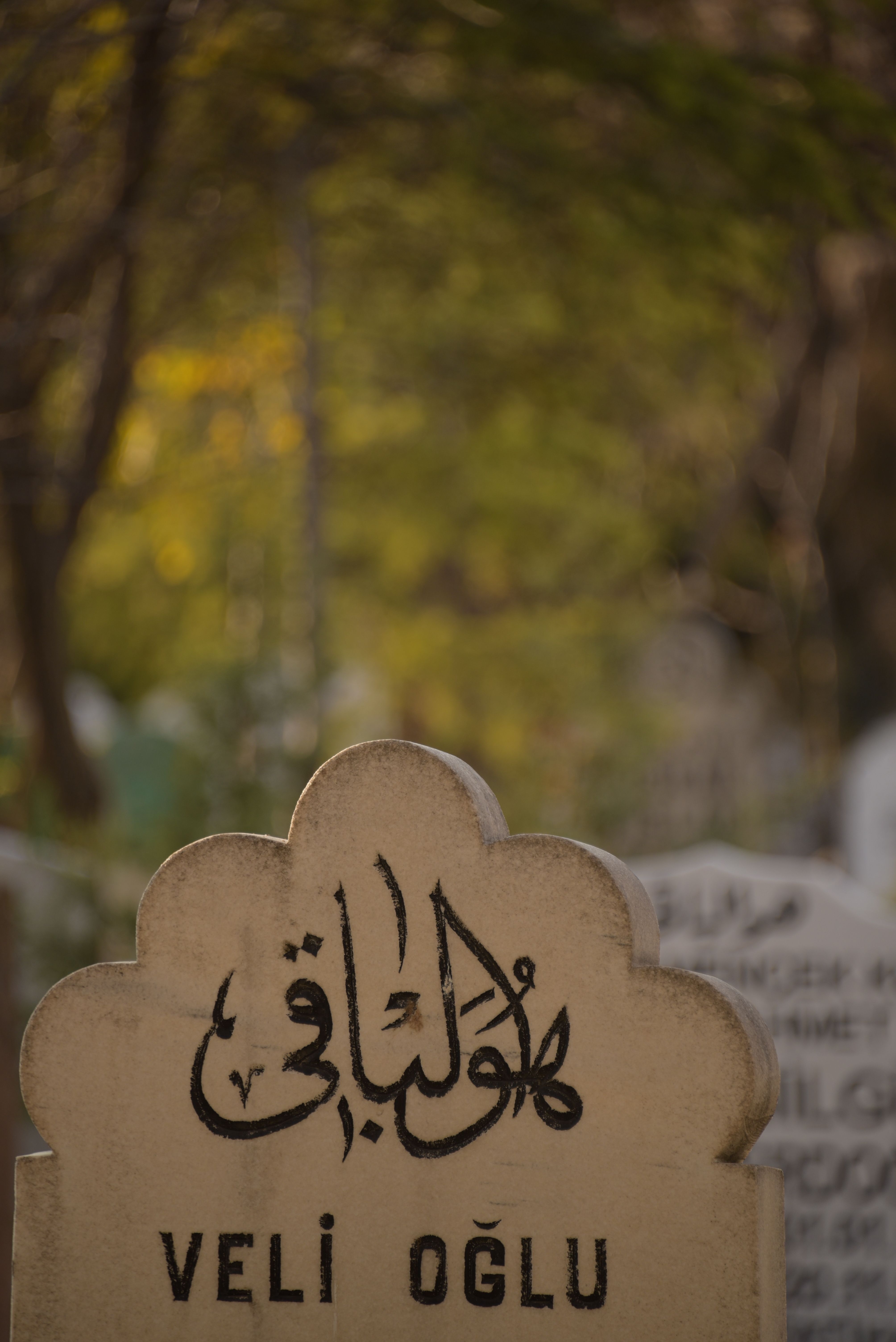 Ancient Grave with Arabic Inscription in Cemetery · Free Stock Photo