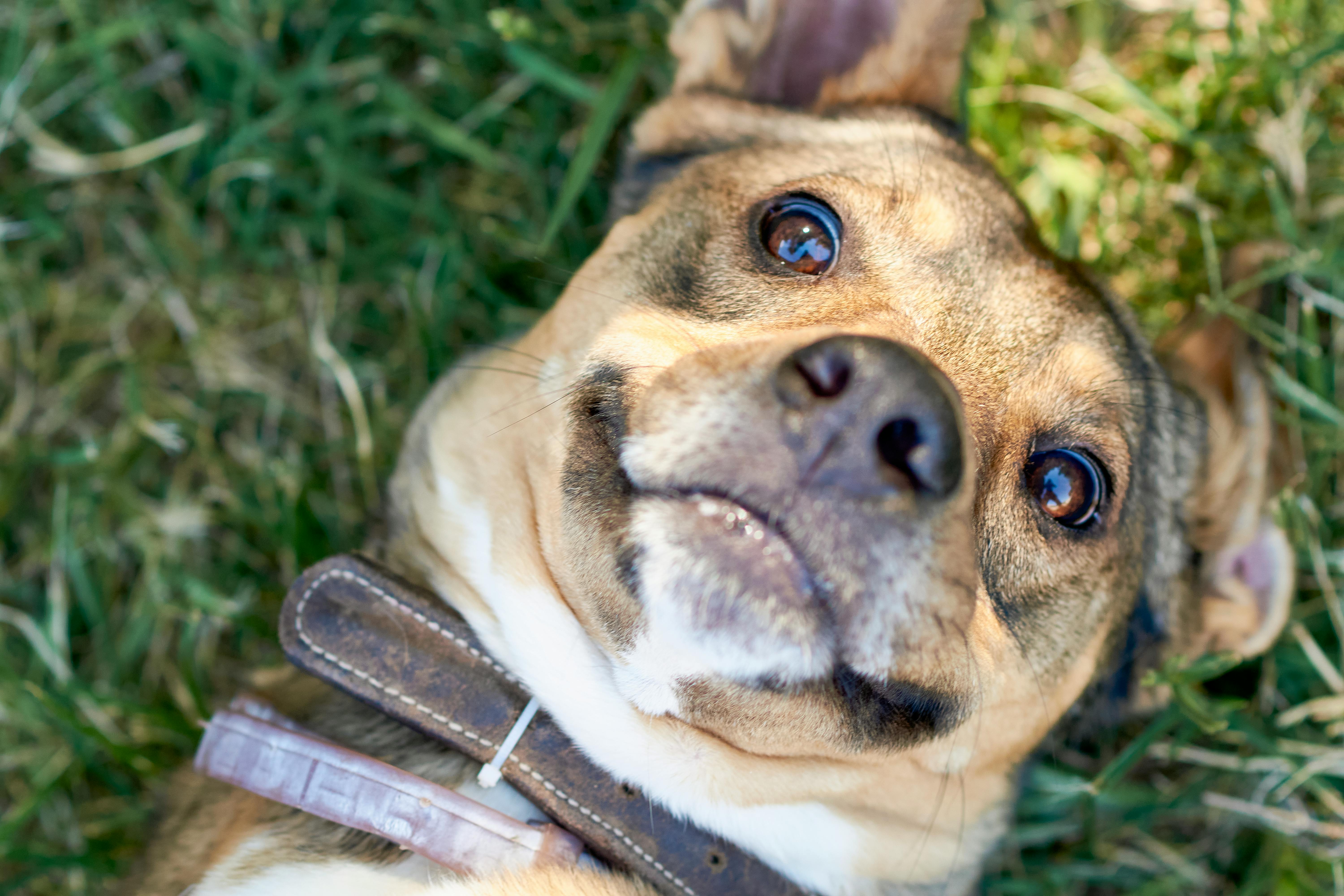 Cute+Imx+Girls Photos, Download The BEST Free Cute+Imx+Girls Stock ...