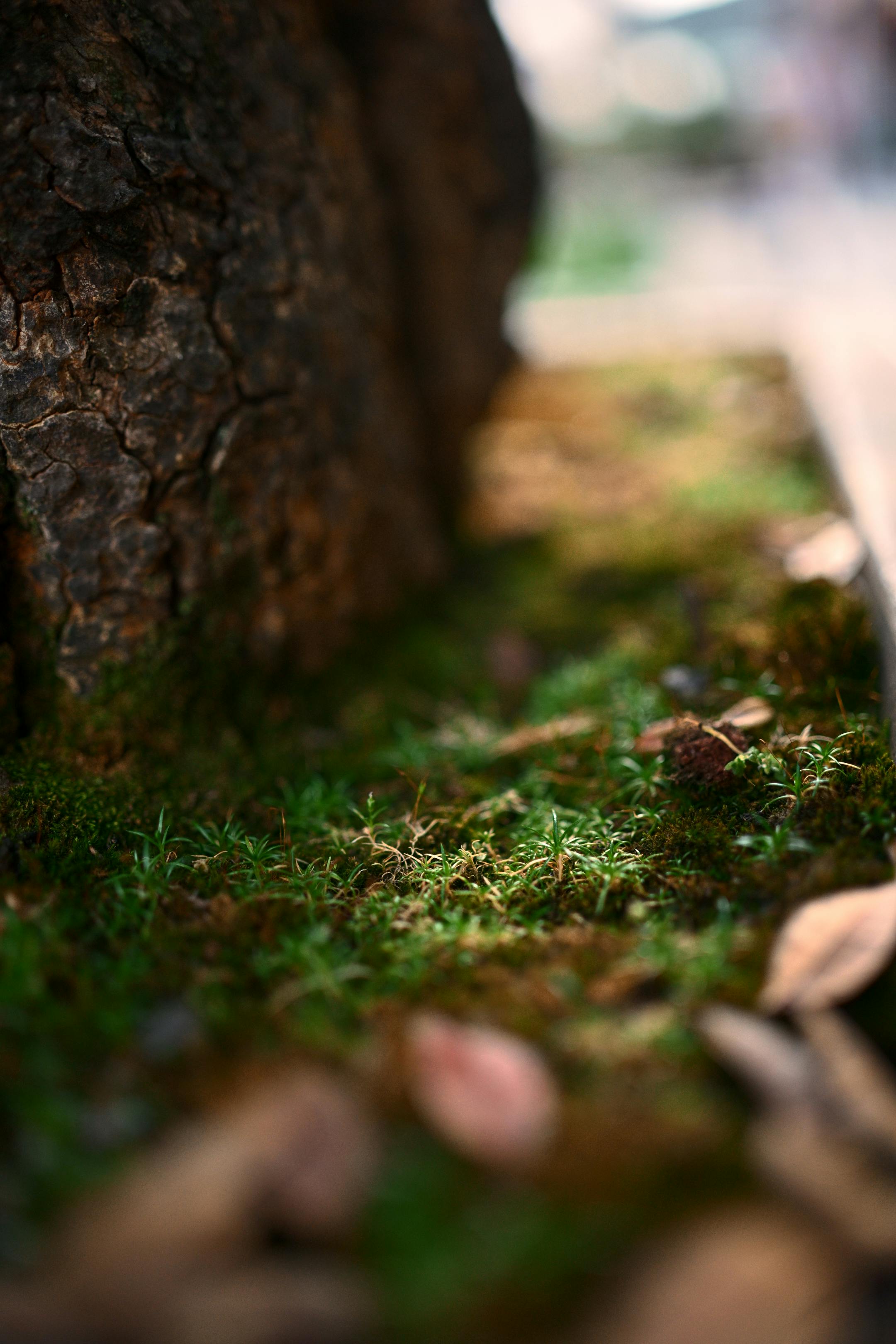 Fluted+Wall+Panel+Texture+Seamless Photos, Download The BEST Free ...