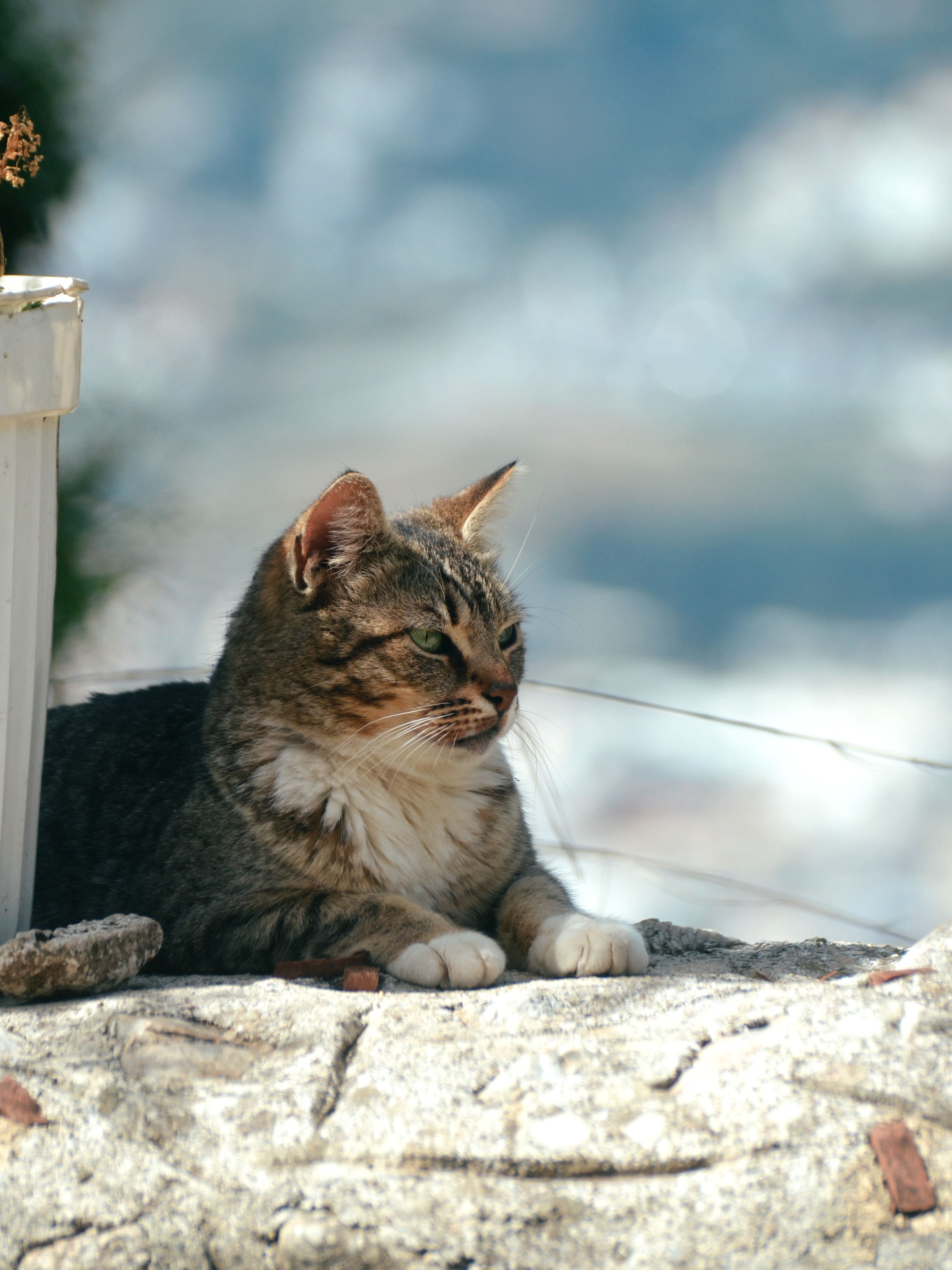 Cute+Imx+Girls Photos, Download The BEST Free Cute+Imx+Girls Stock ...