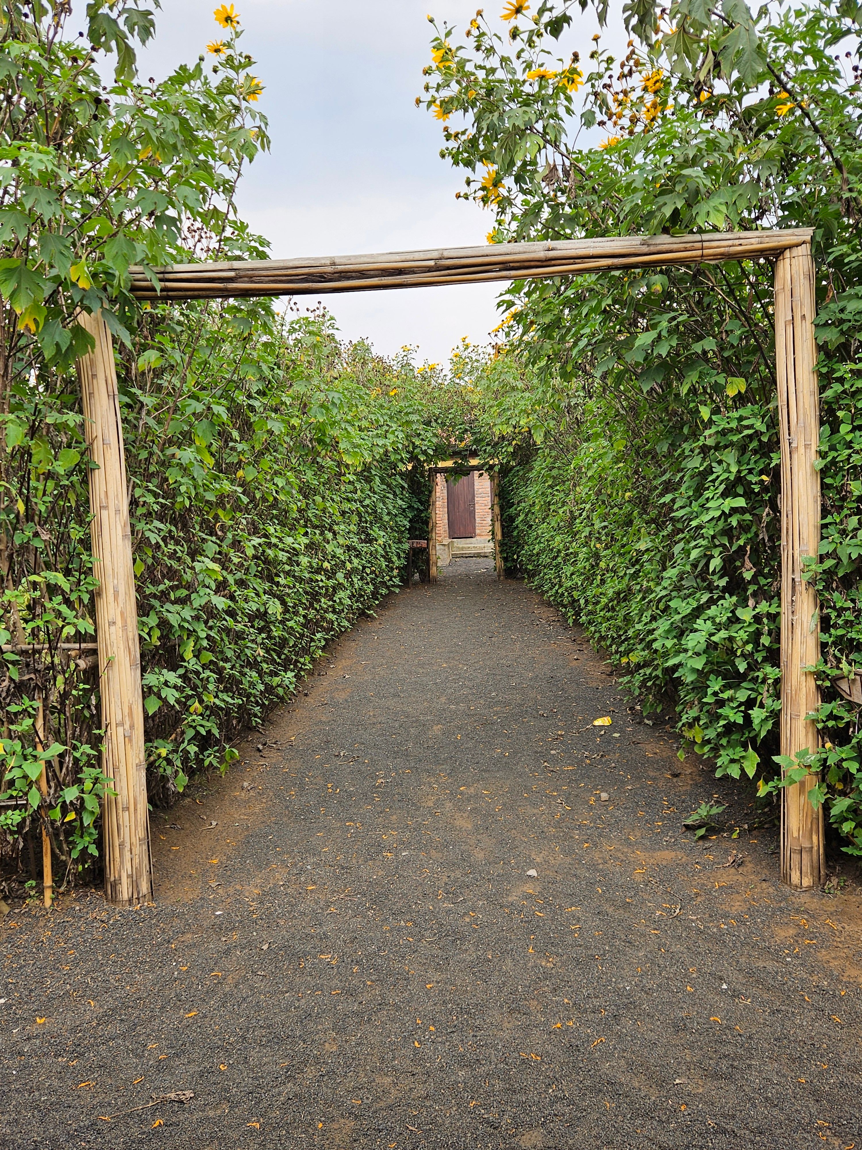 Rustic Wooden Archway in a Green Garden Pathway · Free Stock Photo