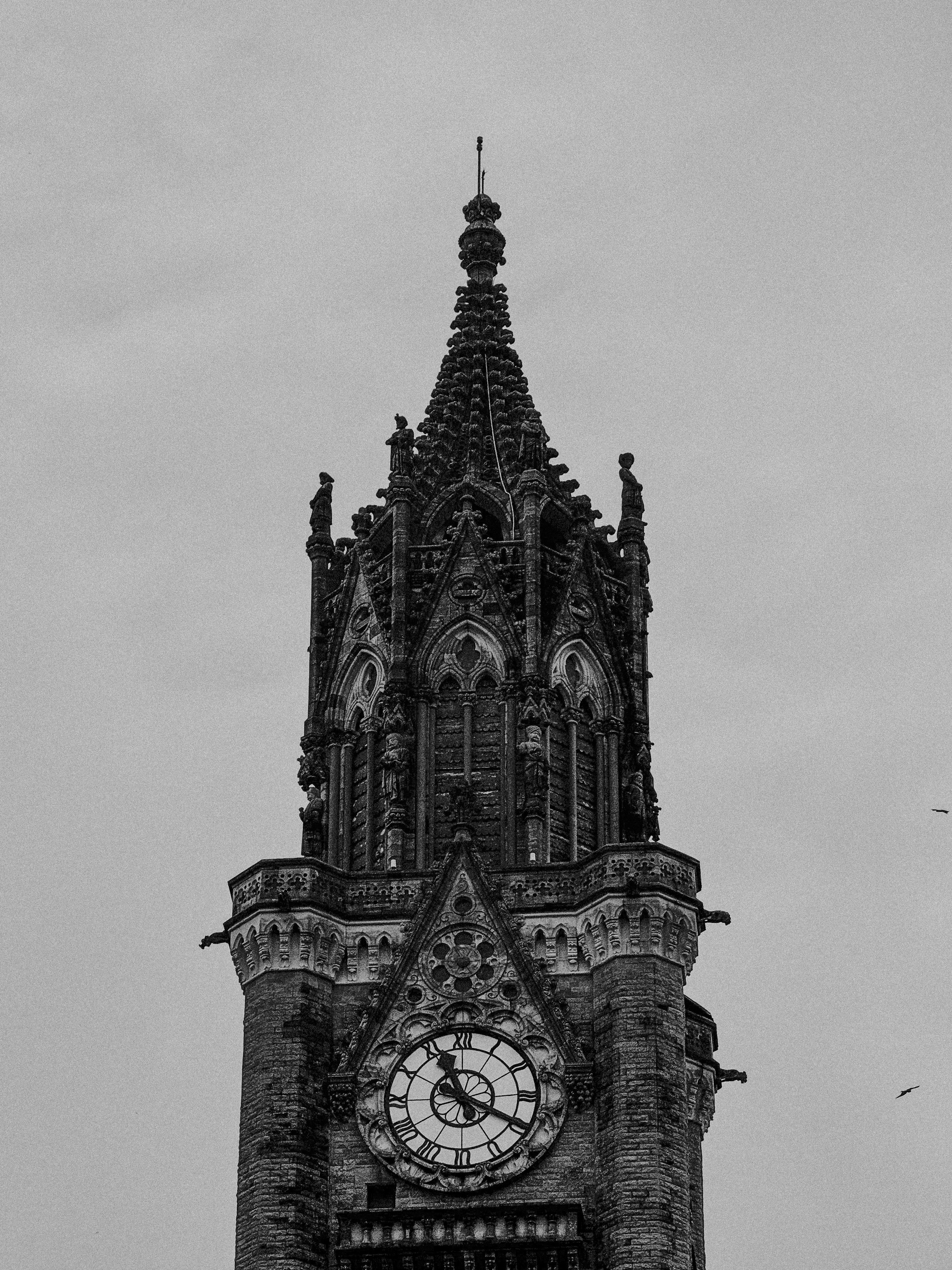 Gothic Clock Tower in Black and White · Free Stock Photo