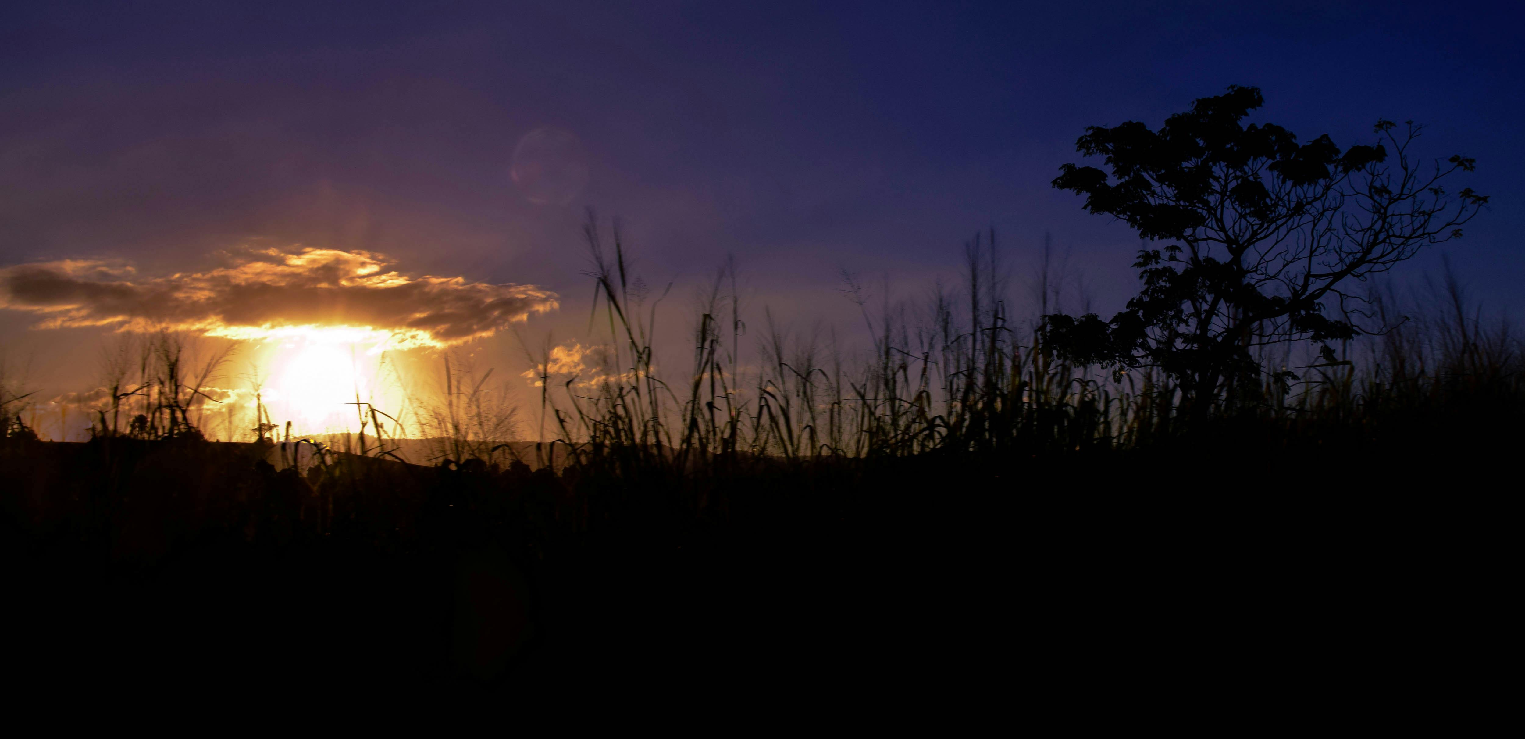 Sunset 4 Photos & Videos Collected by Dee Tandel