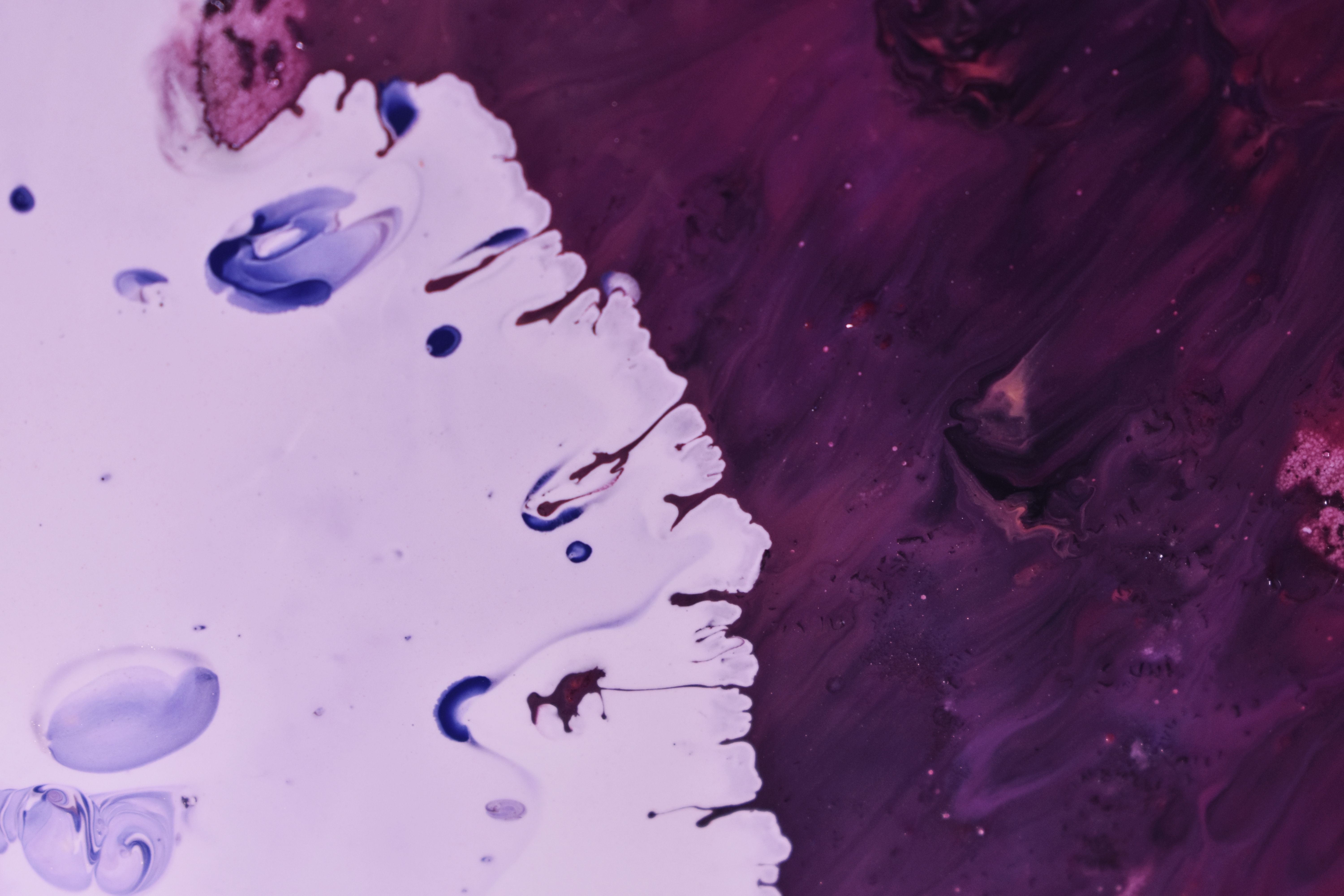 Photo of Violet and White Paint · Free Stock Photo