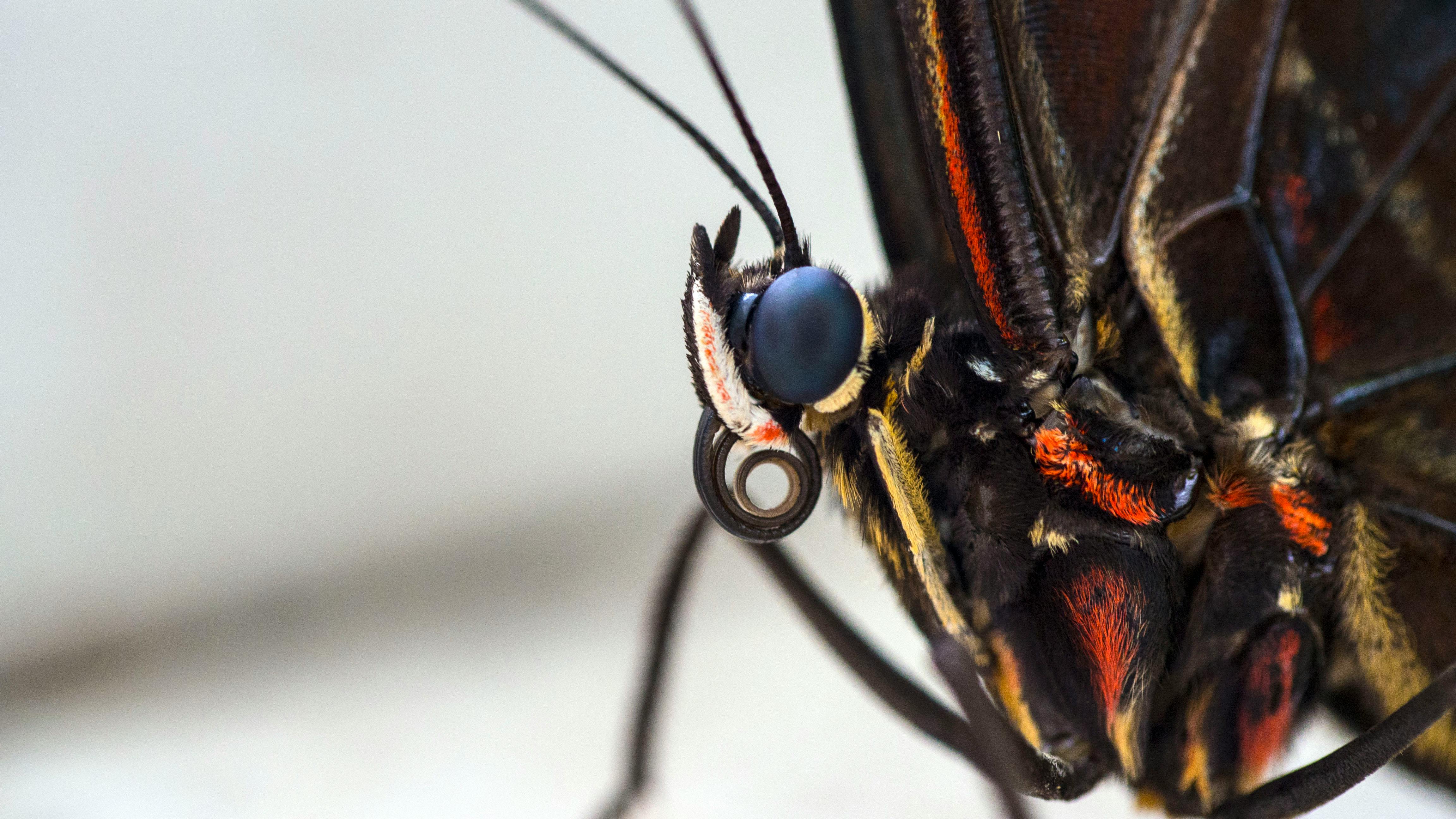 Chris Street - 사진