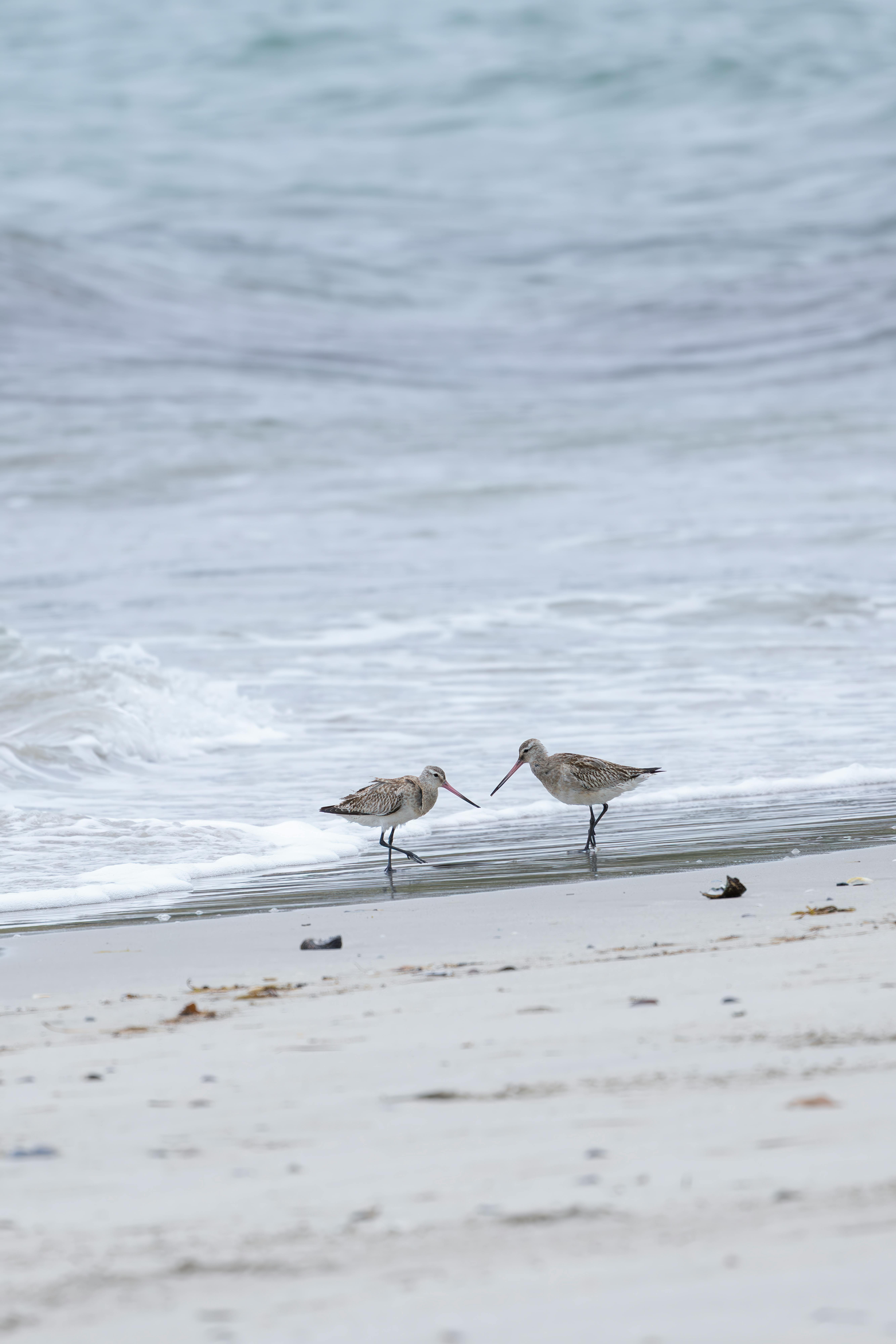 Free+The+Dis Photos, Download The BEST Free Free+The+Dis Stock Photos ...