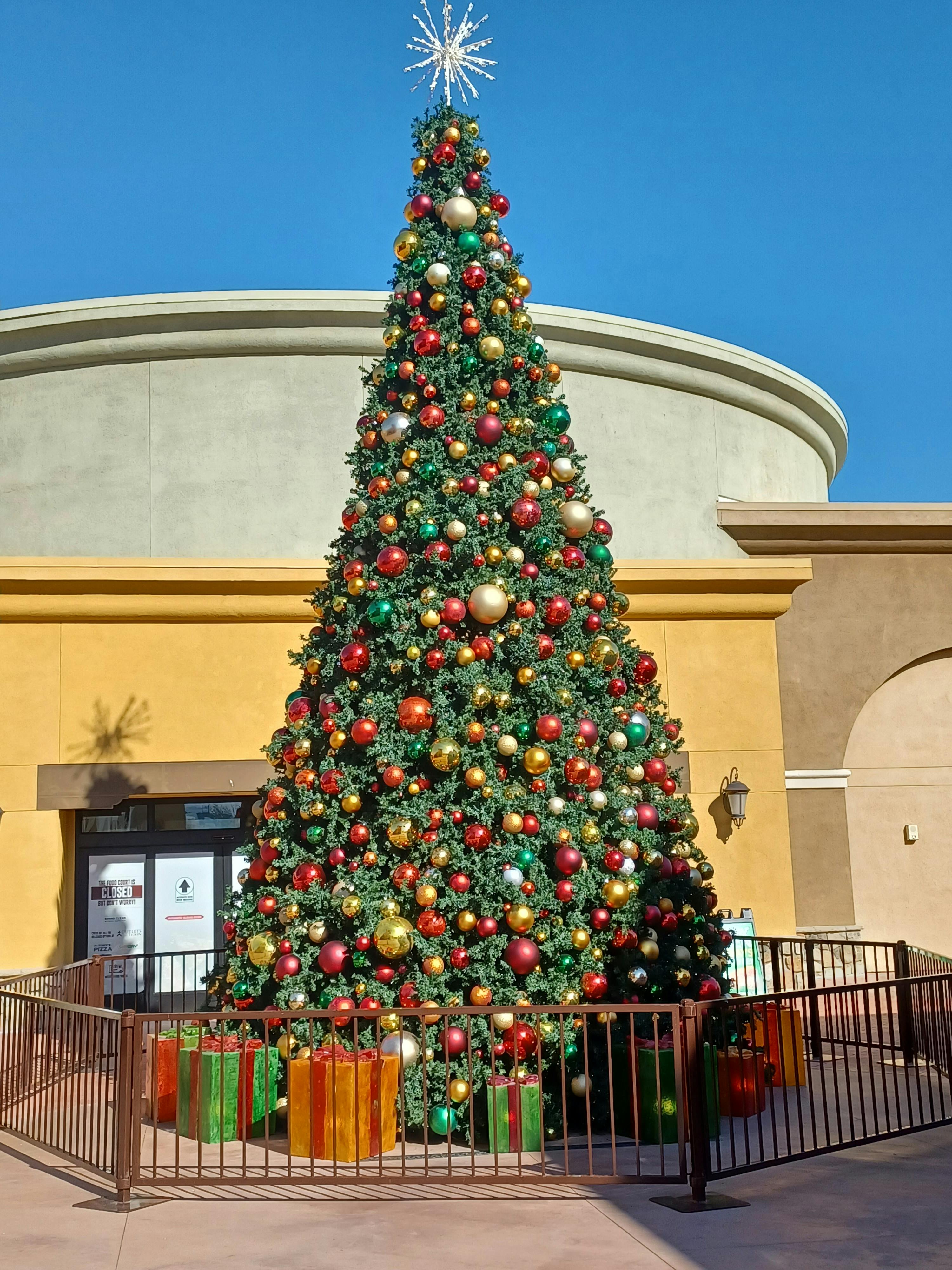 Santa Cart Photos, Download The BEST Free Santa Cart Stock Photos & HD ...