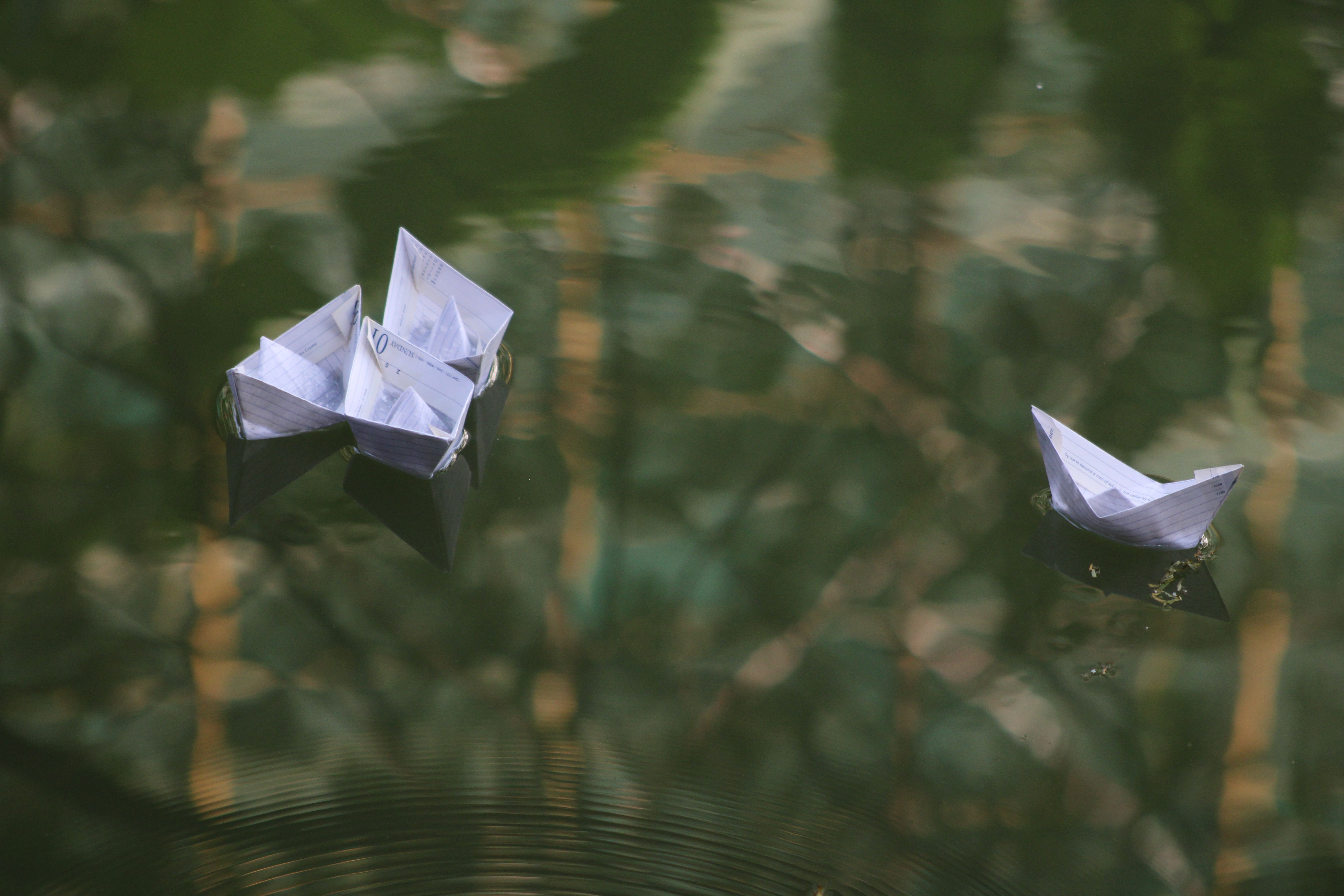 Floating Paper Boats on Calm Water Surface · Free Stock Photo